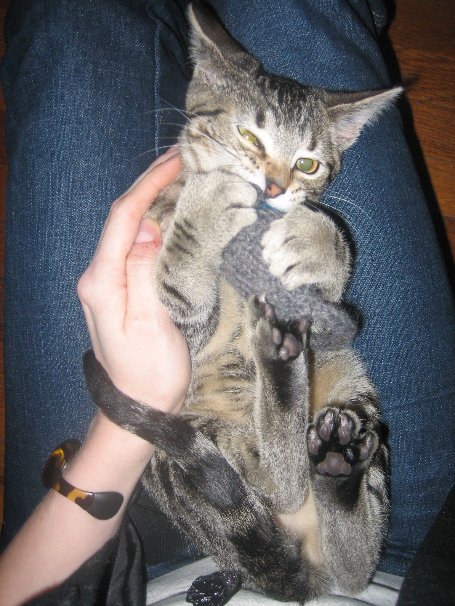 Mice for the Kitty Cats - Instructables