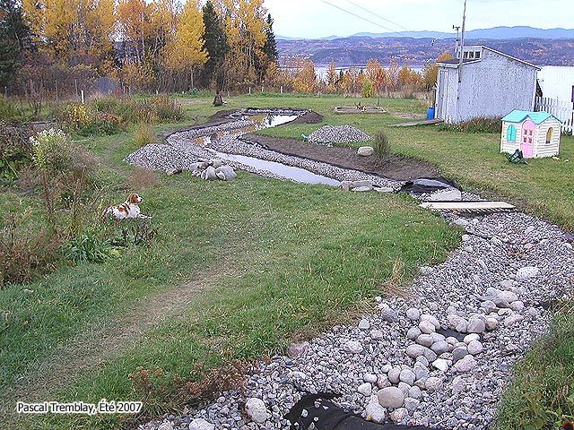Diy Garden Stream
