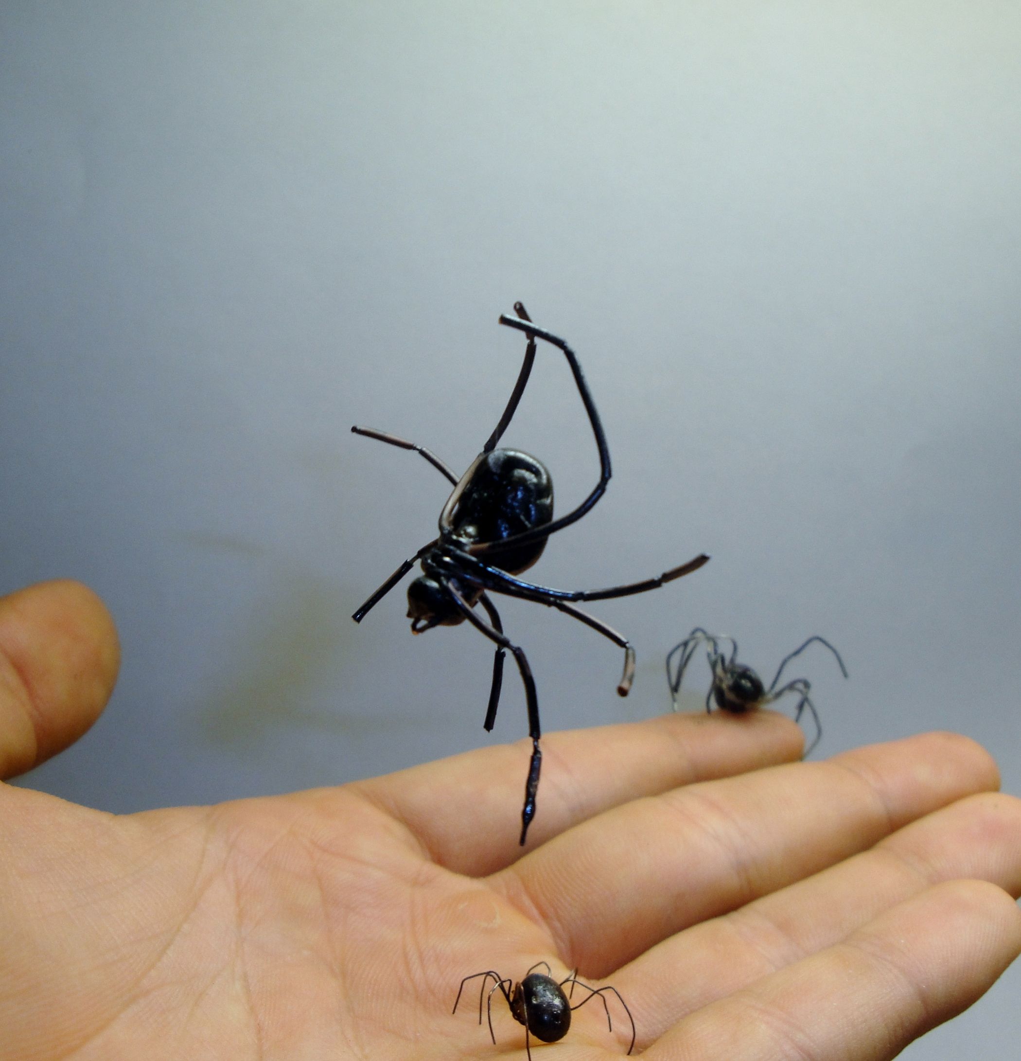 Realistic Spider (Life-Size Prop) : 7 Steps (with Pictures) - Instructables