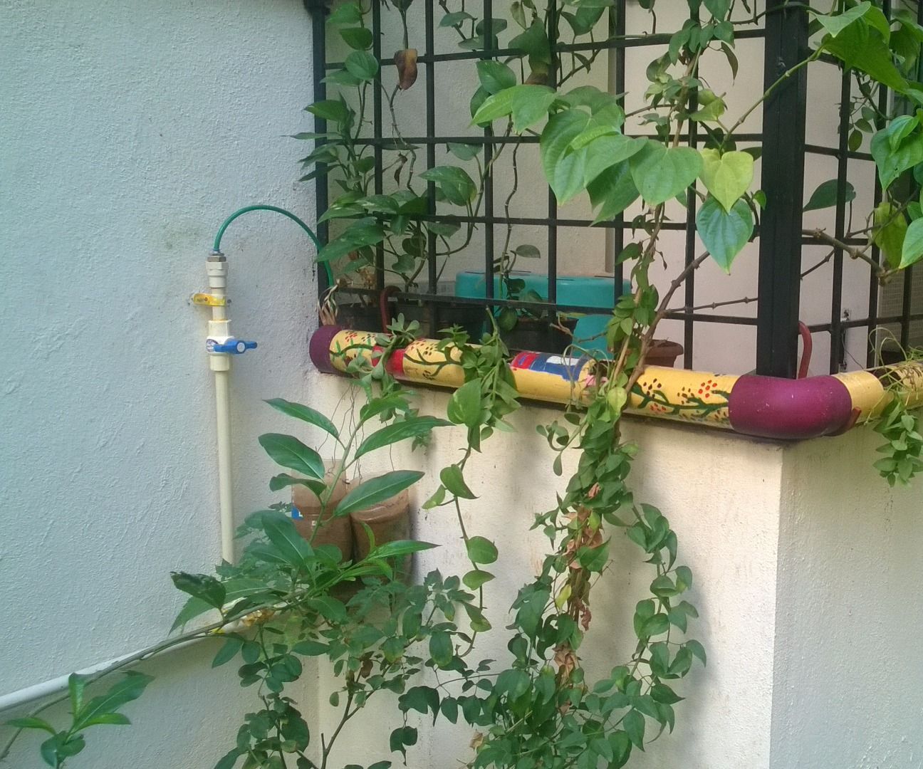 PVC Planter : 10 Steps - Instructables