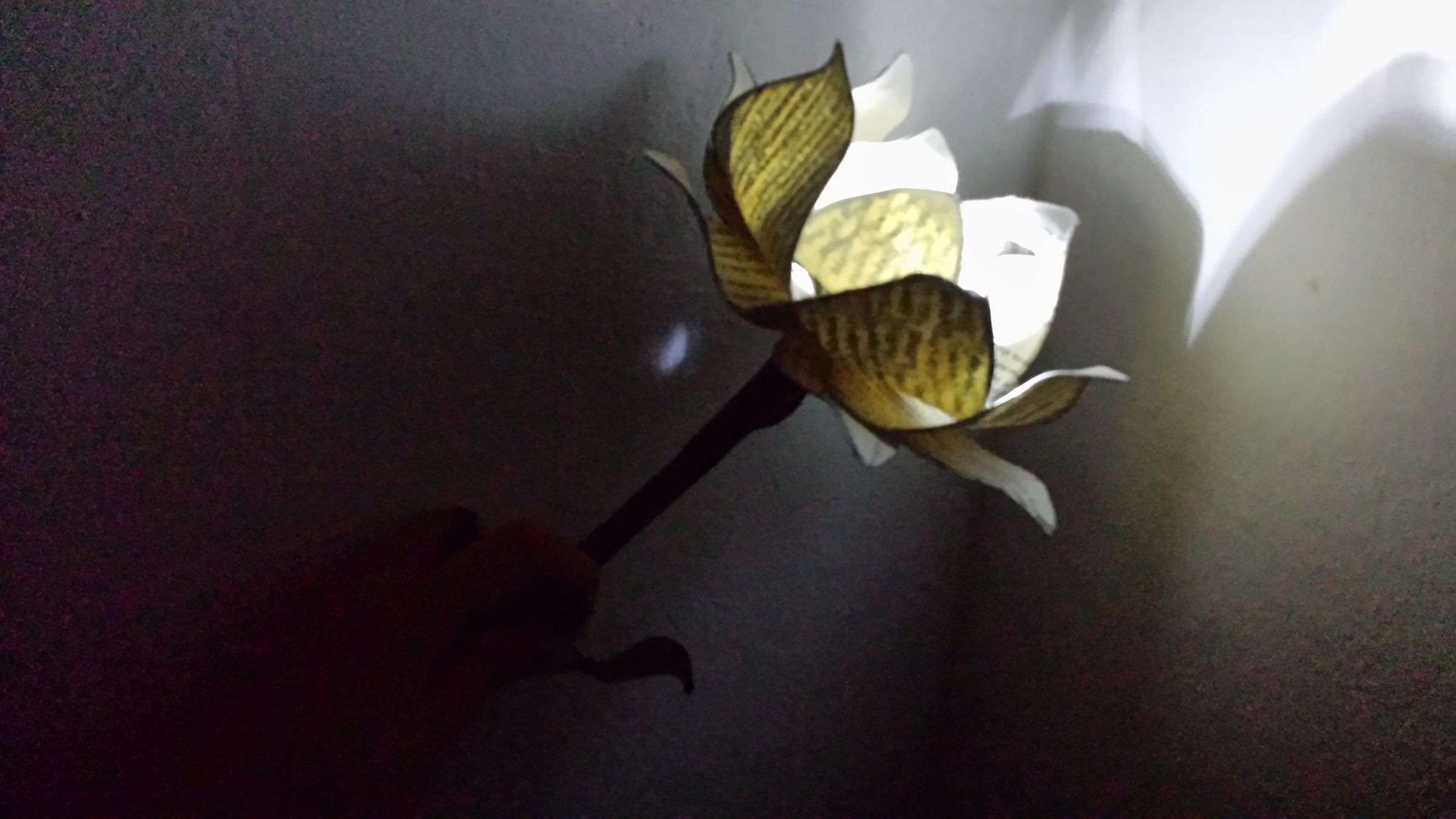 Light-up Literary Flower : 7 Steps - Instructables