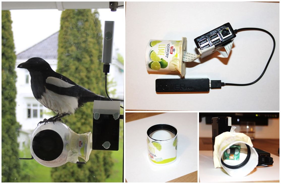 Pi Bird : 5 Steps - Instructables