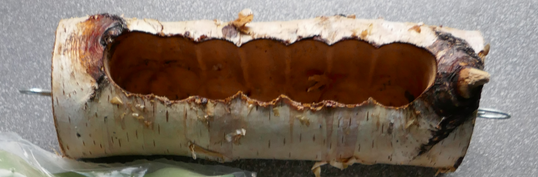 Birch Log Bird Feeder : 4 Steps (with Pictures) - Instructables