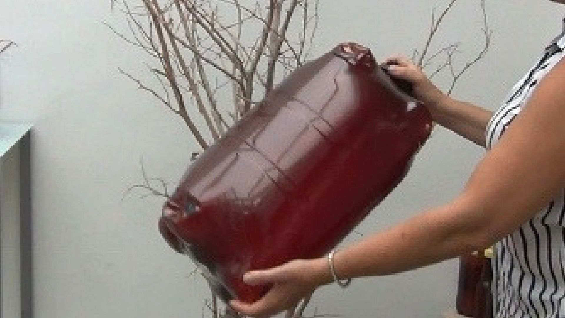 Tree Made Out of Recycled Plastic Bottles : 7 Steps (with Pictures ...