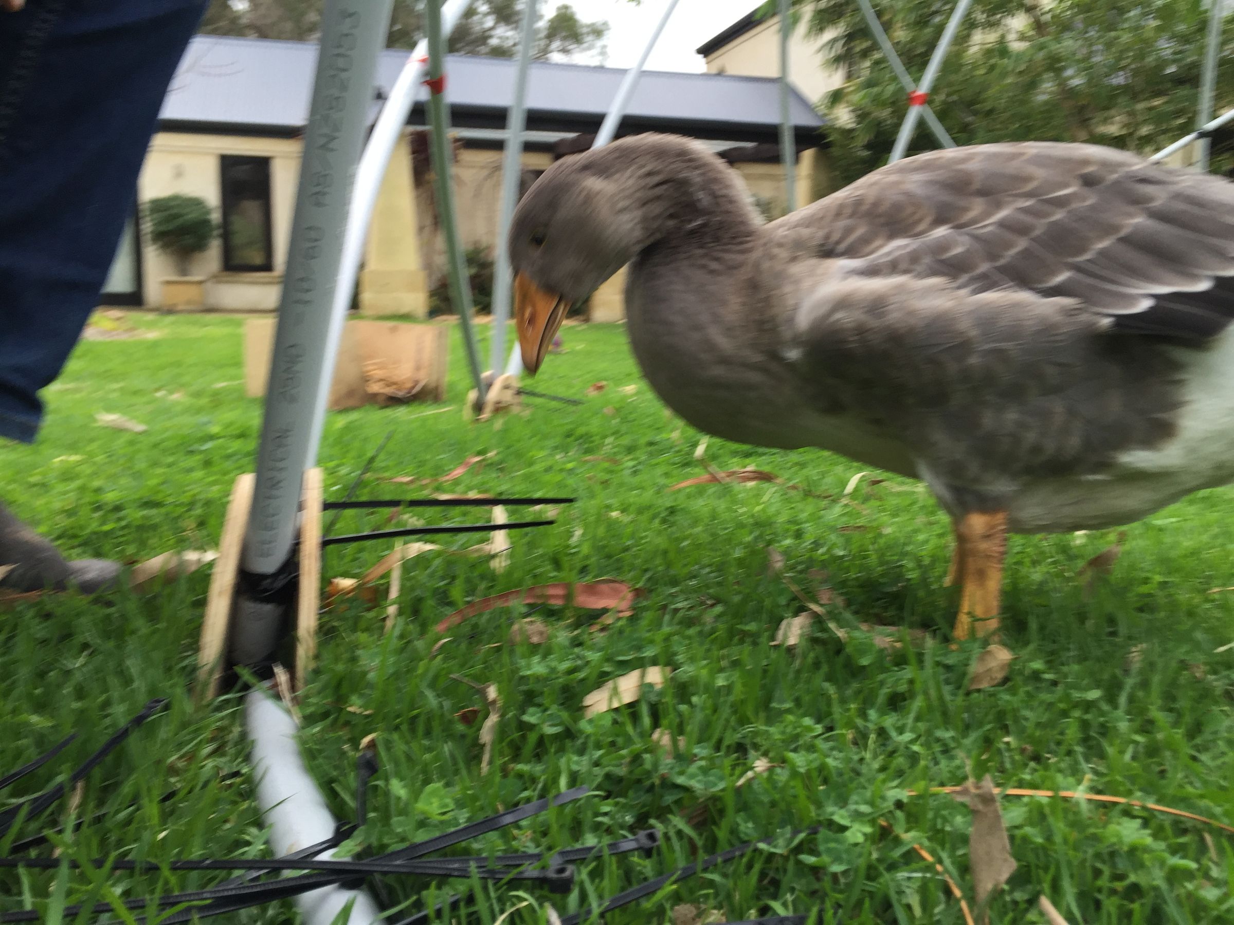 Star Dome - a Fast and Easy Geodesic Dome - Instructables