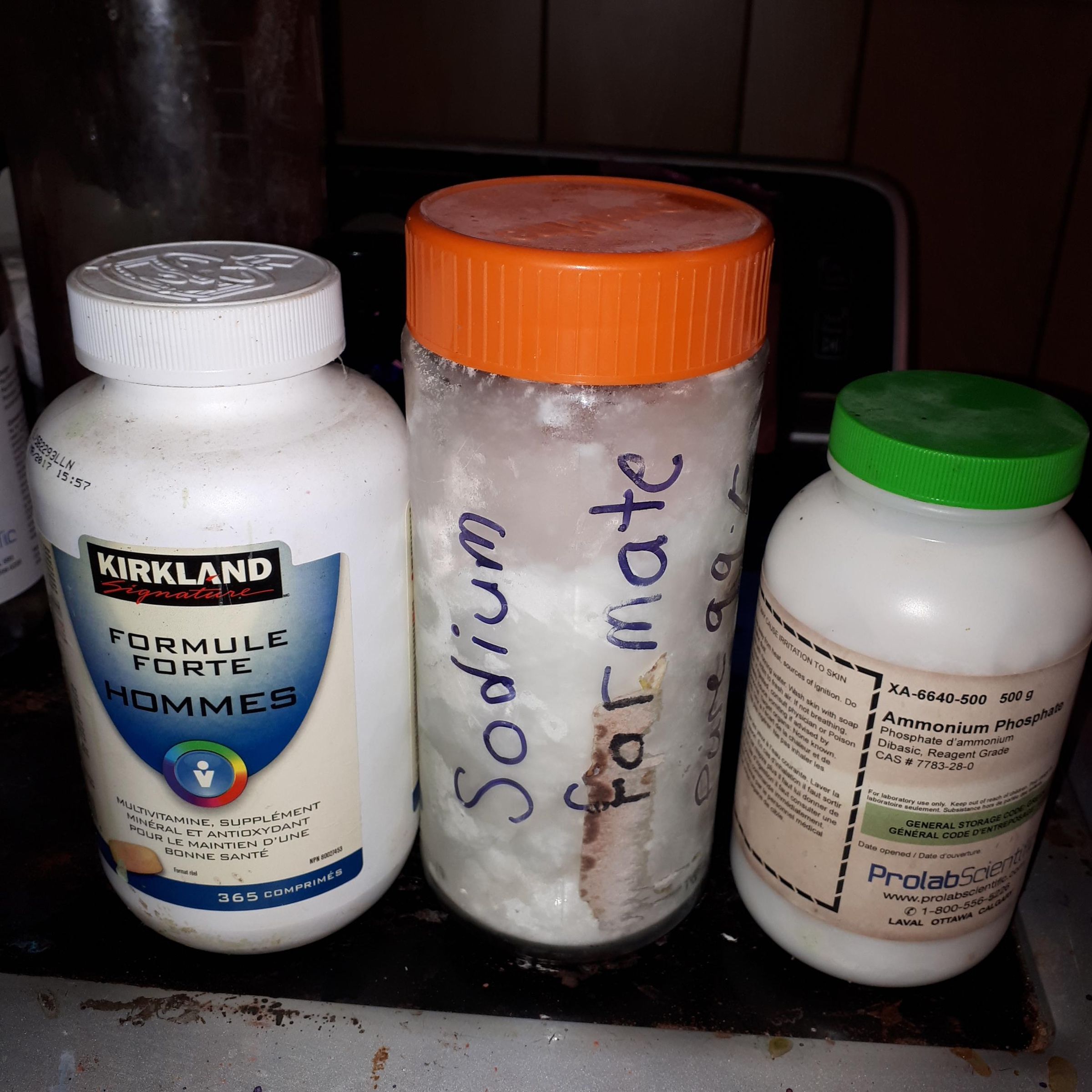 Growing Algae and Then Exposing Them to Gamma Rays. : 5 Steps ...