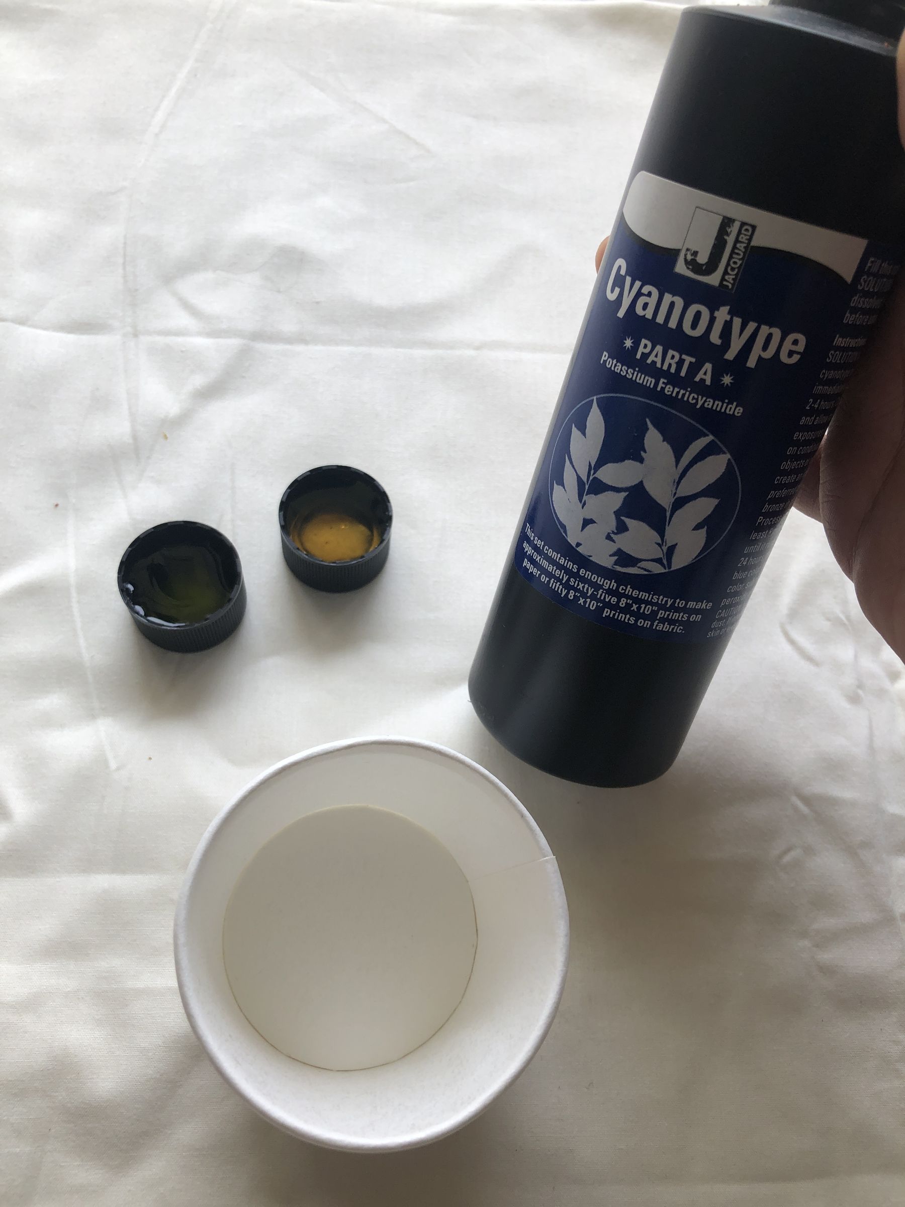 Cyanotype- Indigo Sun Printing : 5 Steps (with Pictures) - Instructables