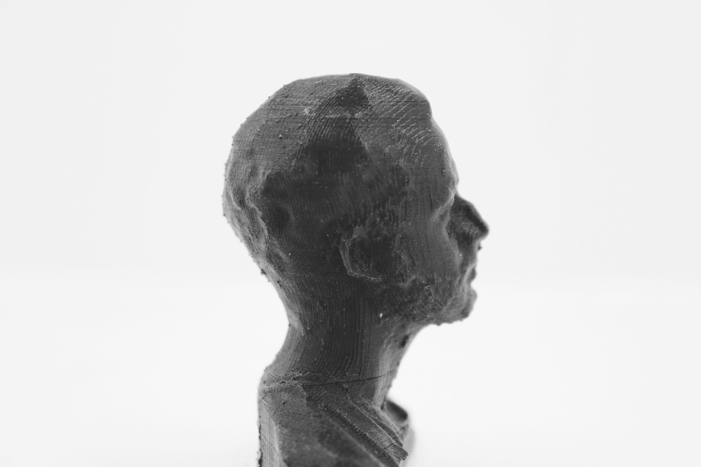 Your Head Cast in Metal - Photogrammetry > 3D Printing > Metal Casting ...