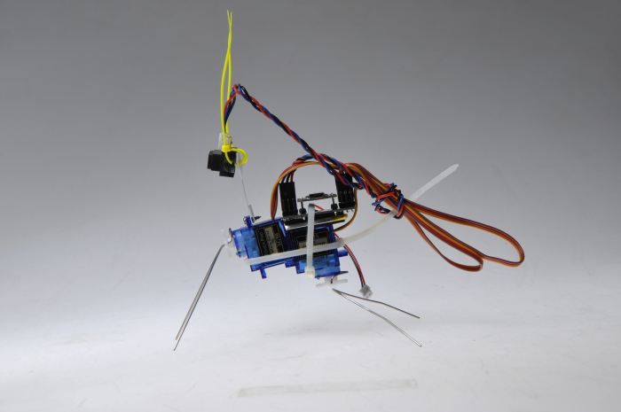Insect Bot Mini : 12 Steps - Instructables