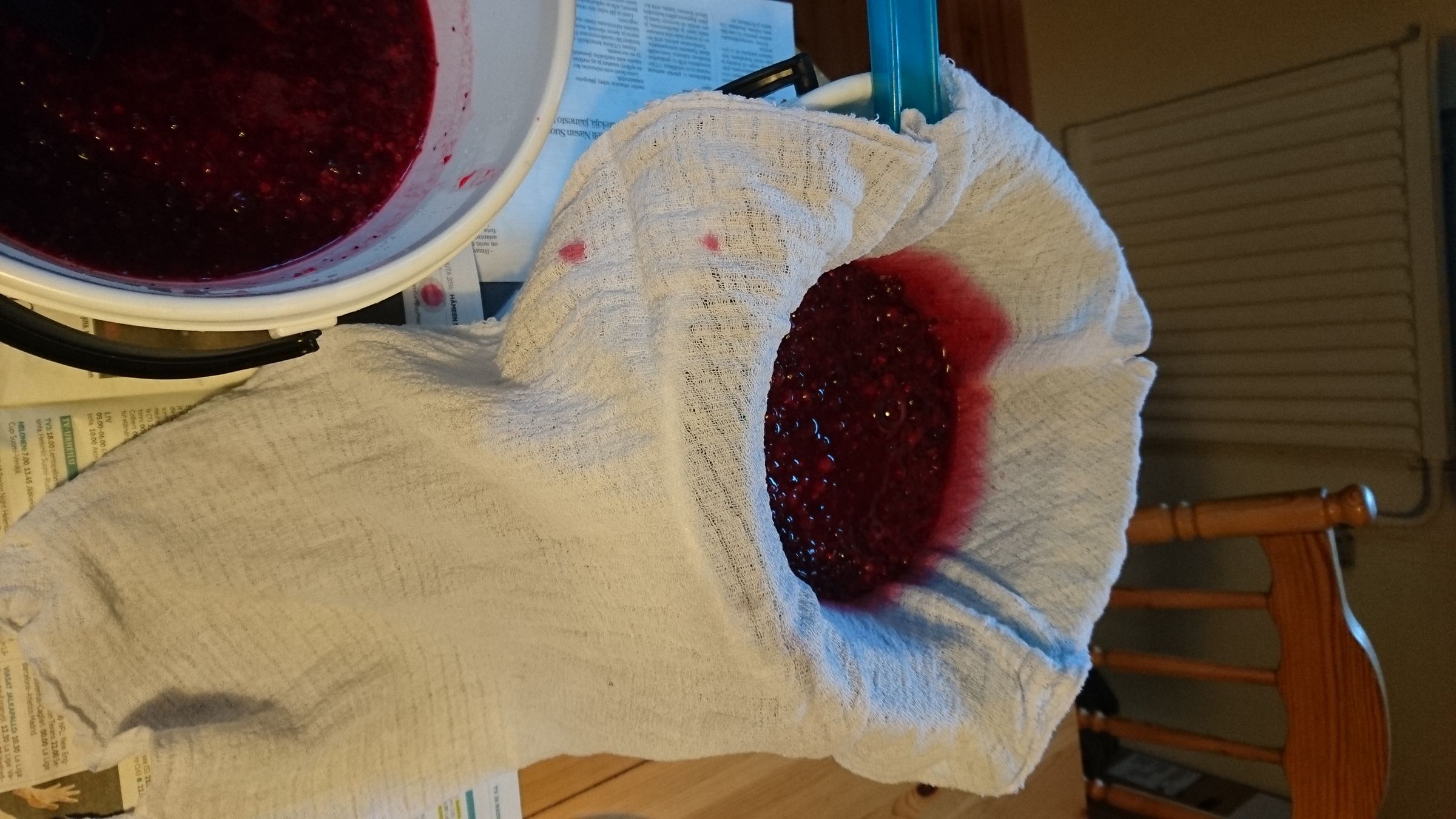 Lingonberry Juice : 5 Steps (with Pictures) - Instructables