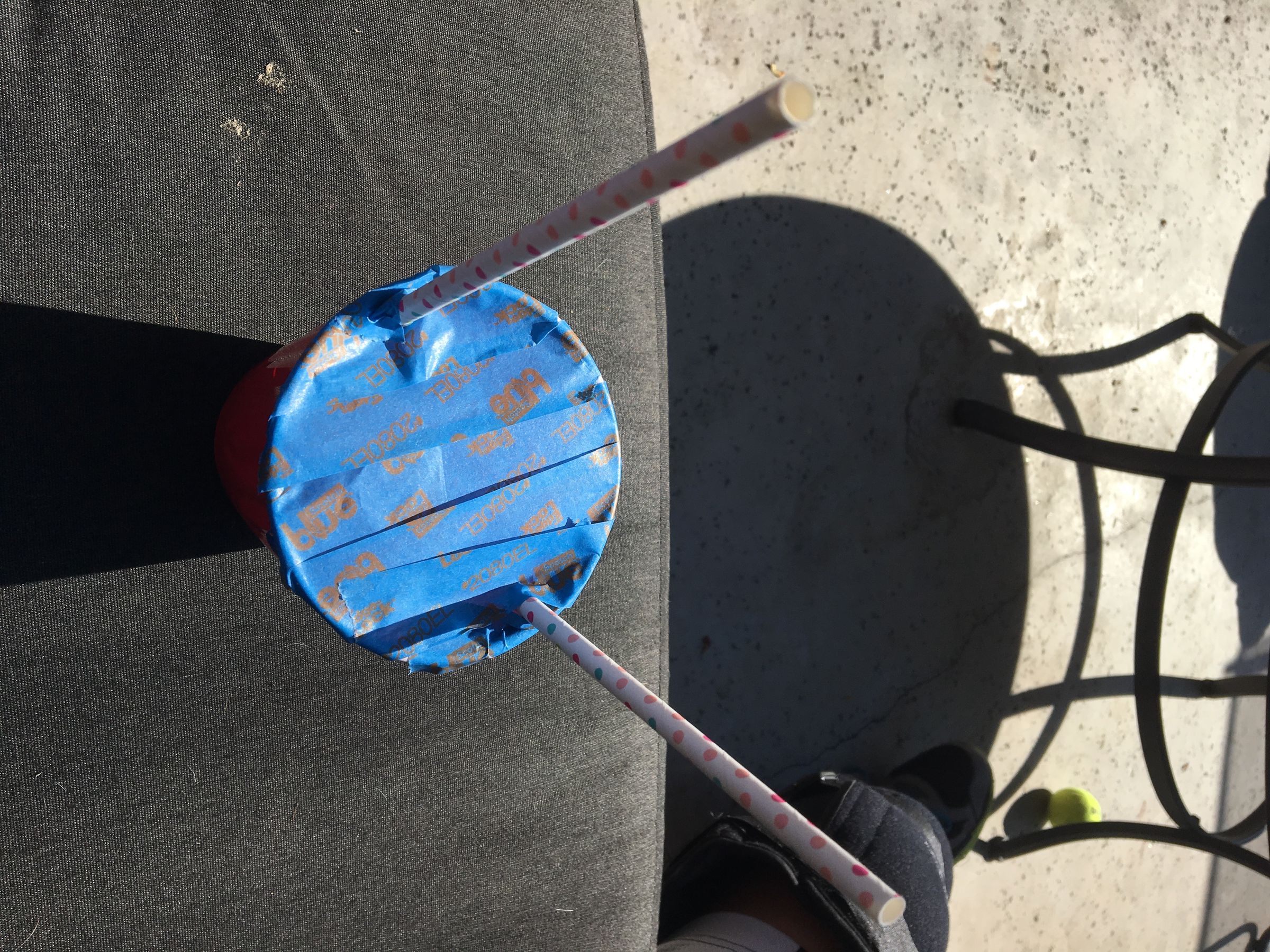 Bug Catcher : 3 Steps (with Pictures) - Instructables