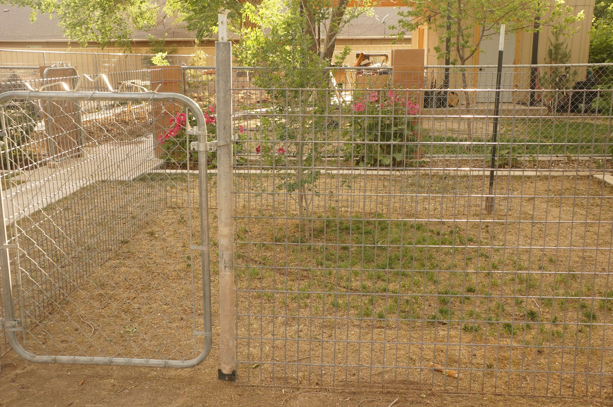 Cheap Easy Dog Run to Build : 6 Steps - Instructables