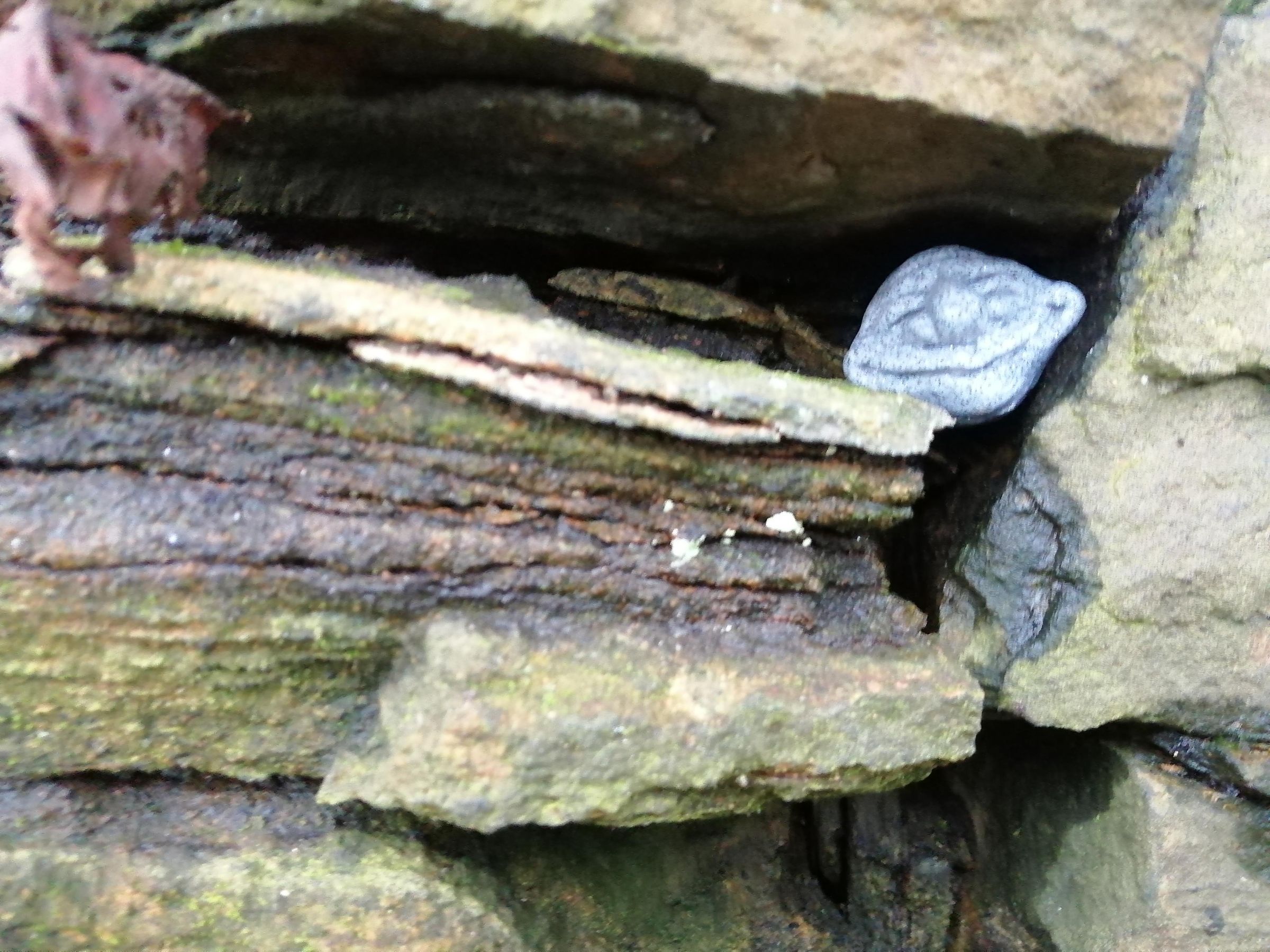 Rock Troll/stone Faces : 7 Steps (with Pictures) - Instructables