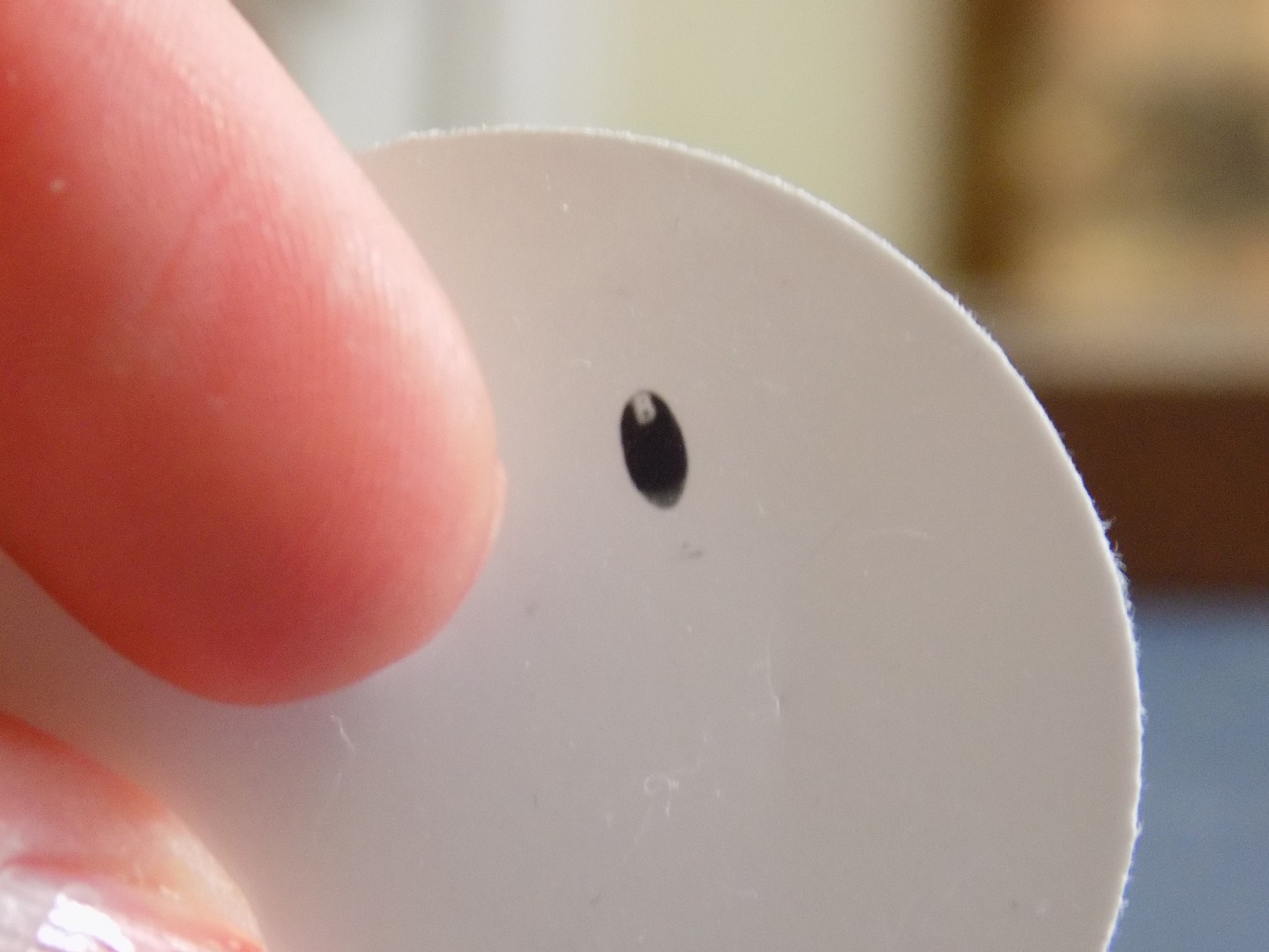 Pocket Watch Pinhole Camera : 17 Steps (with Pictures) - Instructables