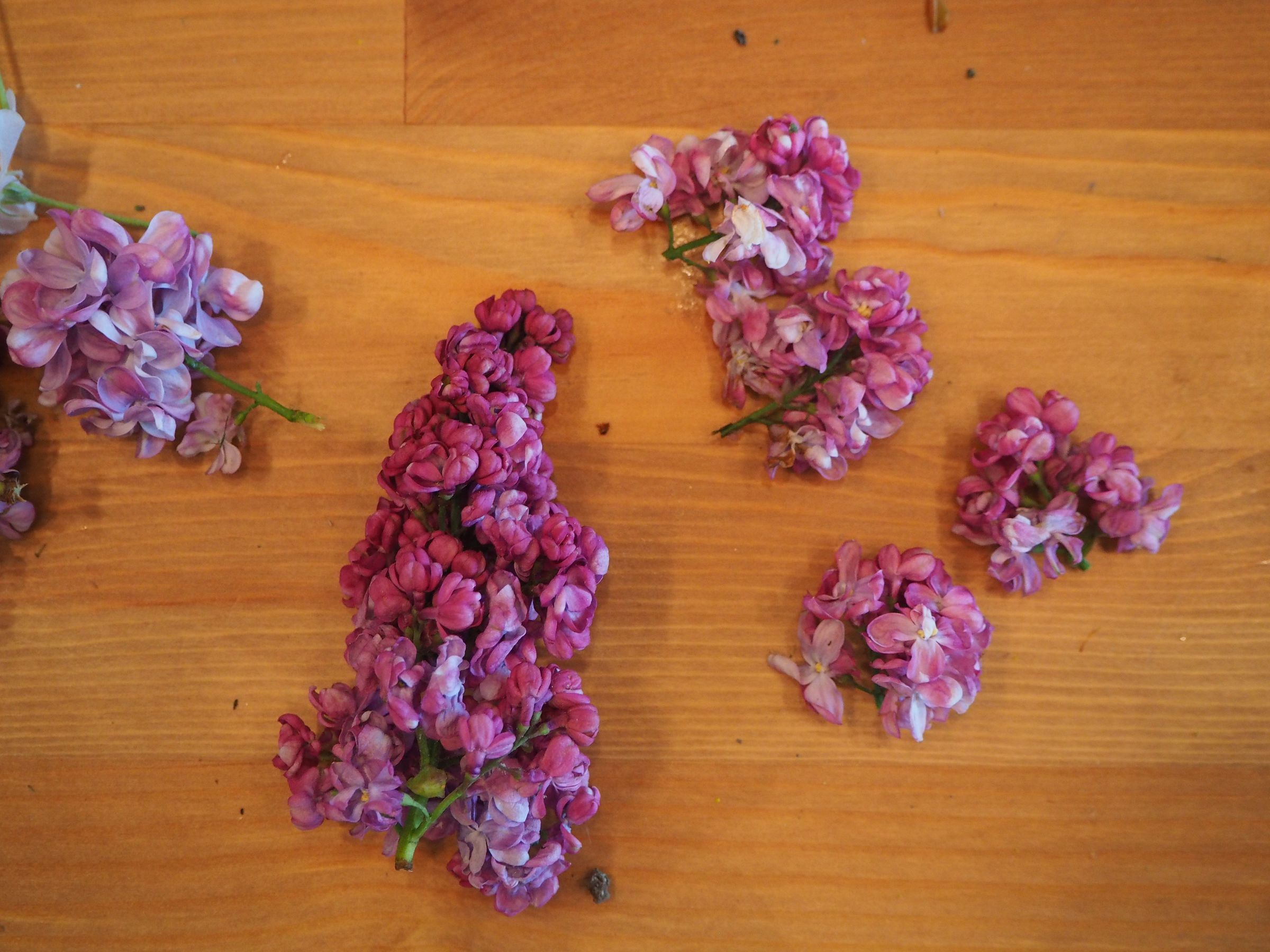 Techniques to Embed Flowers in Resin : 12 Steps (with Pictures ...