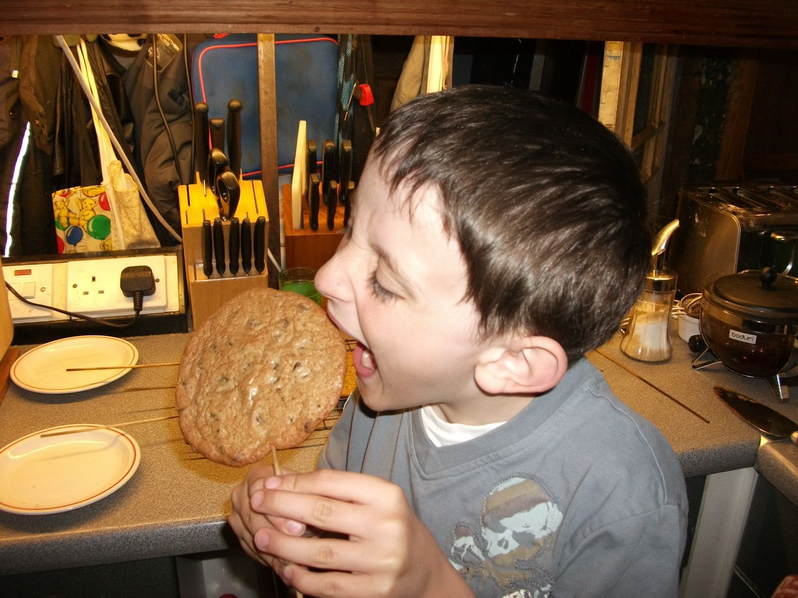 Chocolate Chip Stookies or Bis-sticks : 4 Steps - Instructables