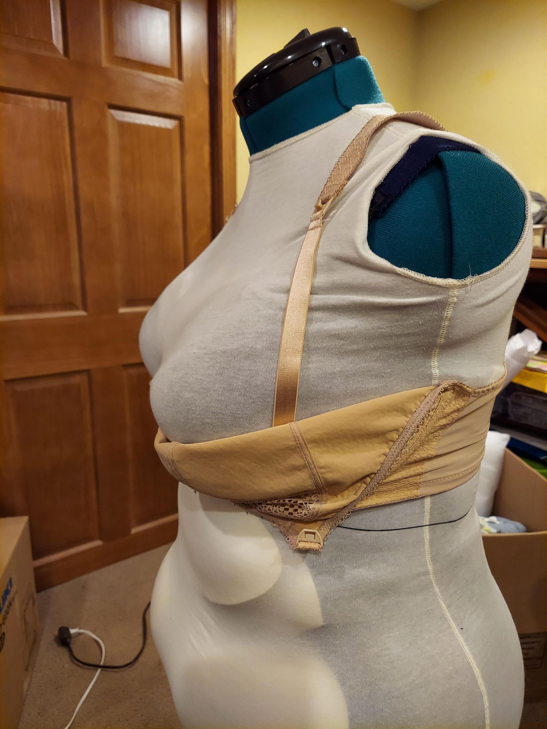 Adapt a Bra for Nursing : 6 Steps - Instructables