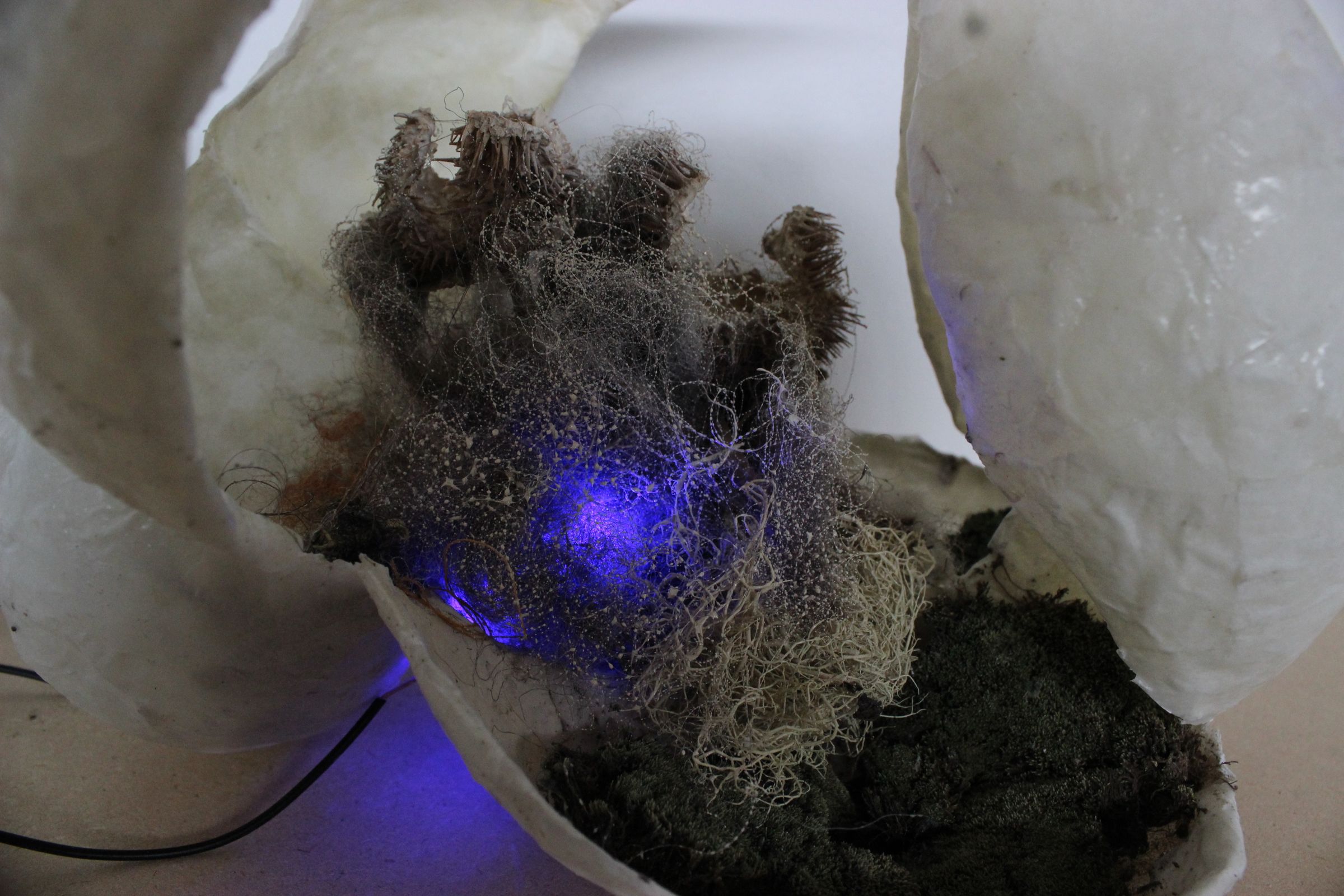 Shadow Pod: Nightlight : 10 Steps - Instructables