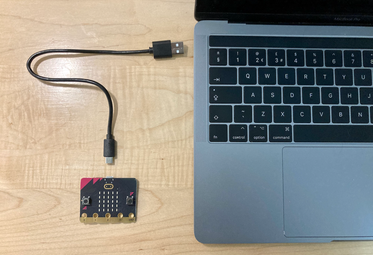 Micro:bit Enabled Plant Watering System : 6 Steps (with Pictures ...