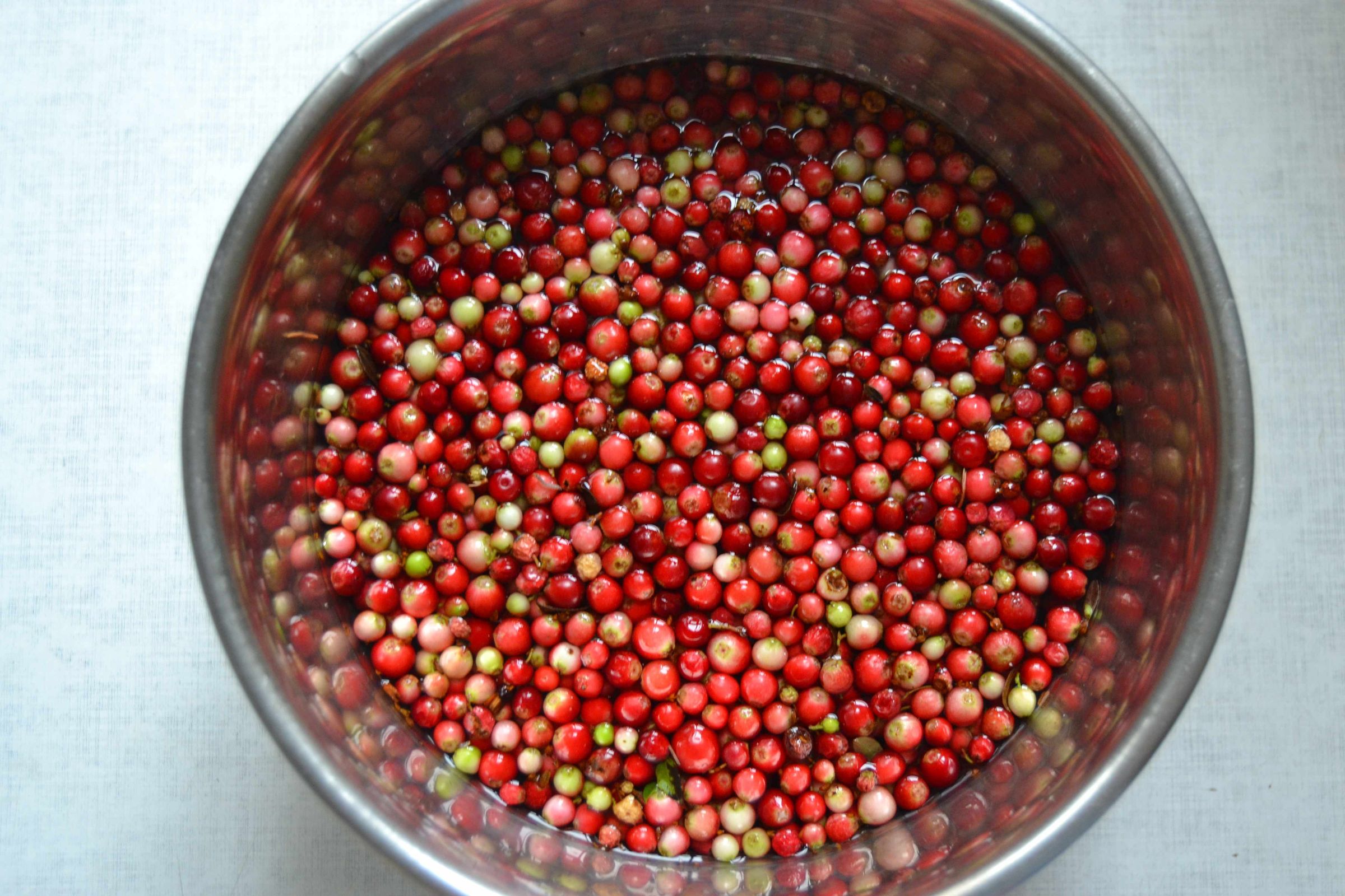 Homemade Lingonberry Jam : 4 Steps (with Pictures) - Instructables