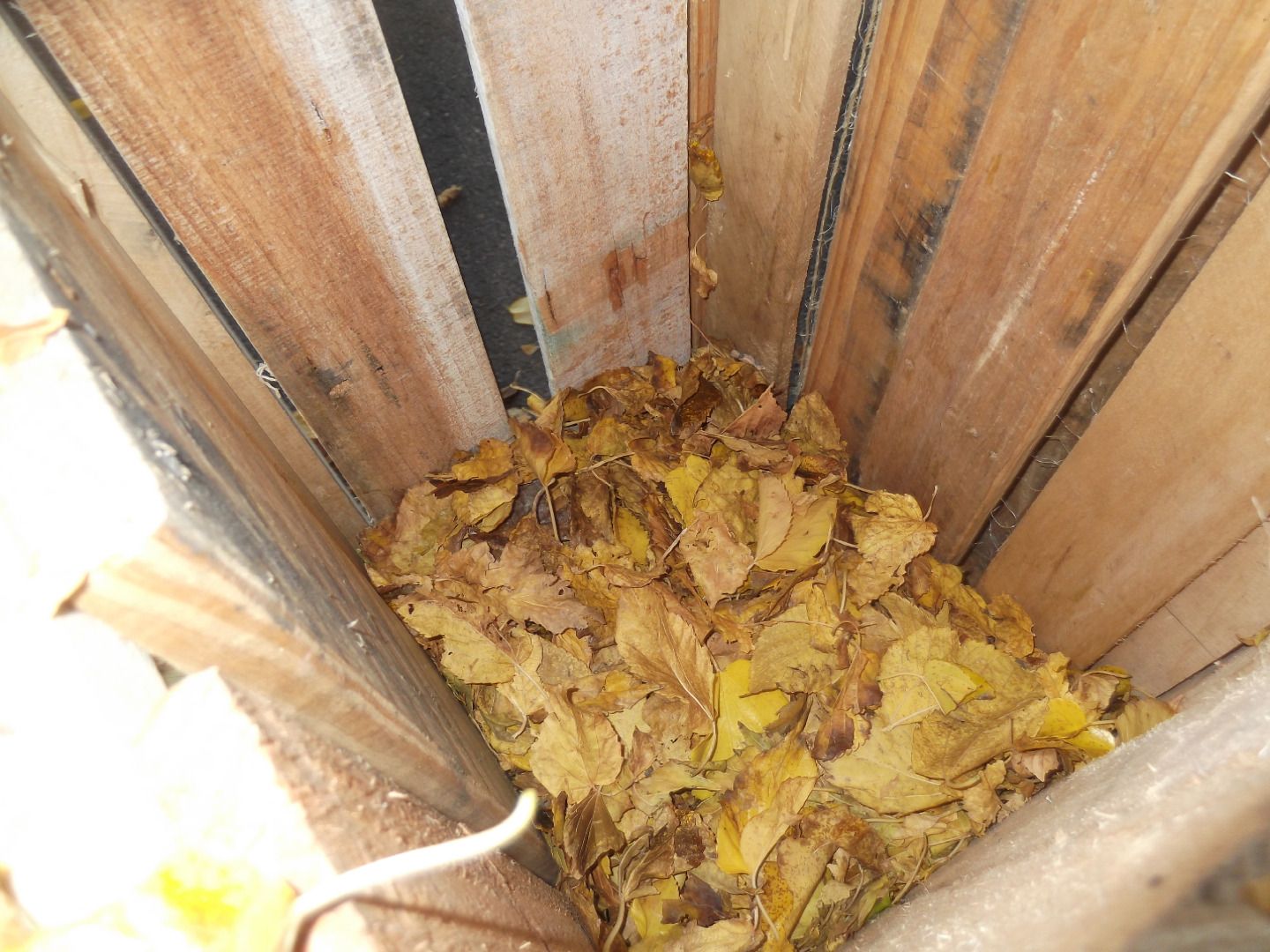 Baling Fall Leaves : 7 Steps (with Pictures) - Instructables