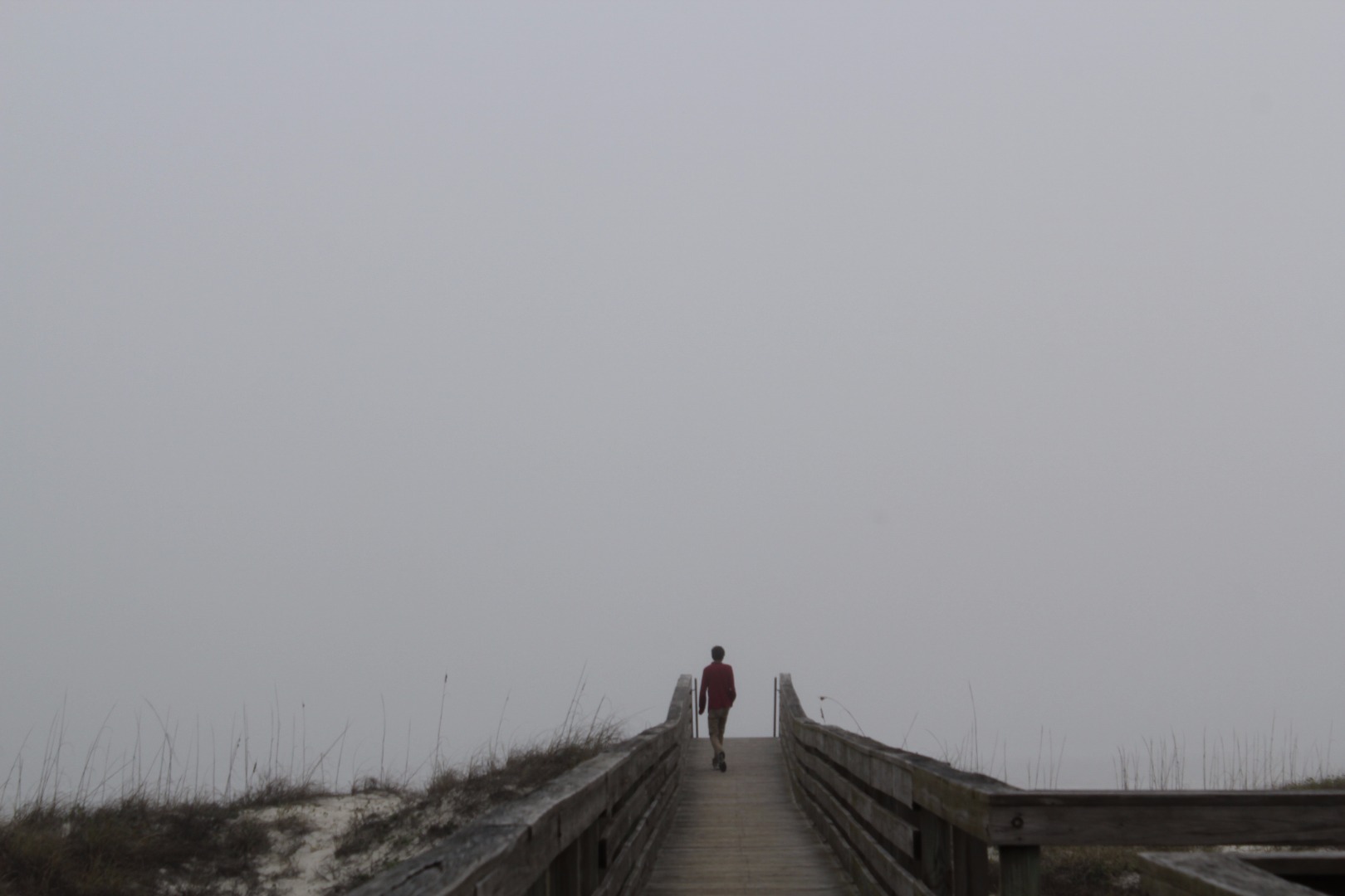 Long Shot Photography