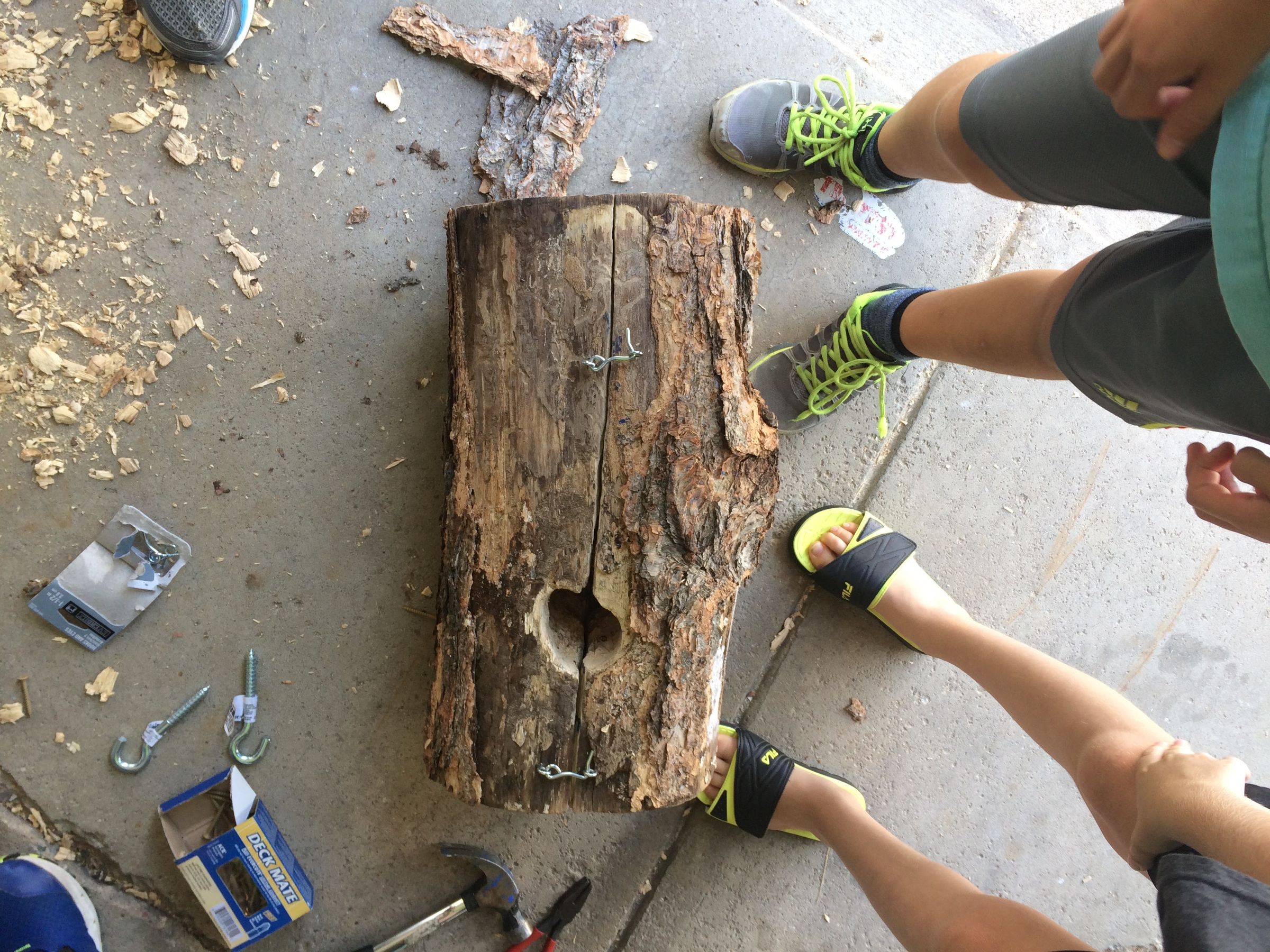 Red-Headed Woodpecker Nesting Box : 7 Steps (with Pictures) - Instructables