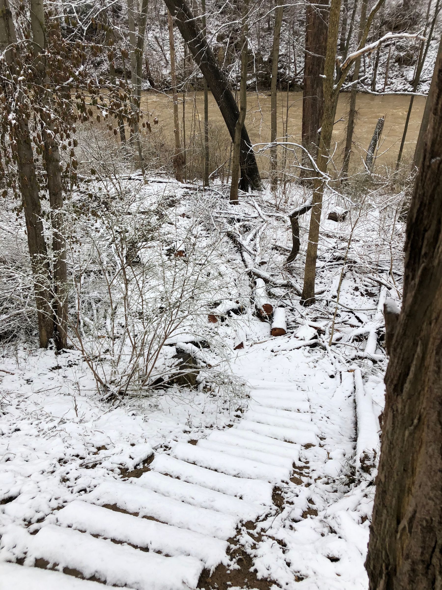 Log Path Cut Into a Hill : 5 Steps (with Pictures) - Instructables