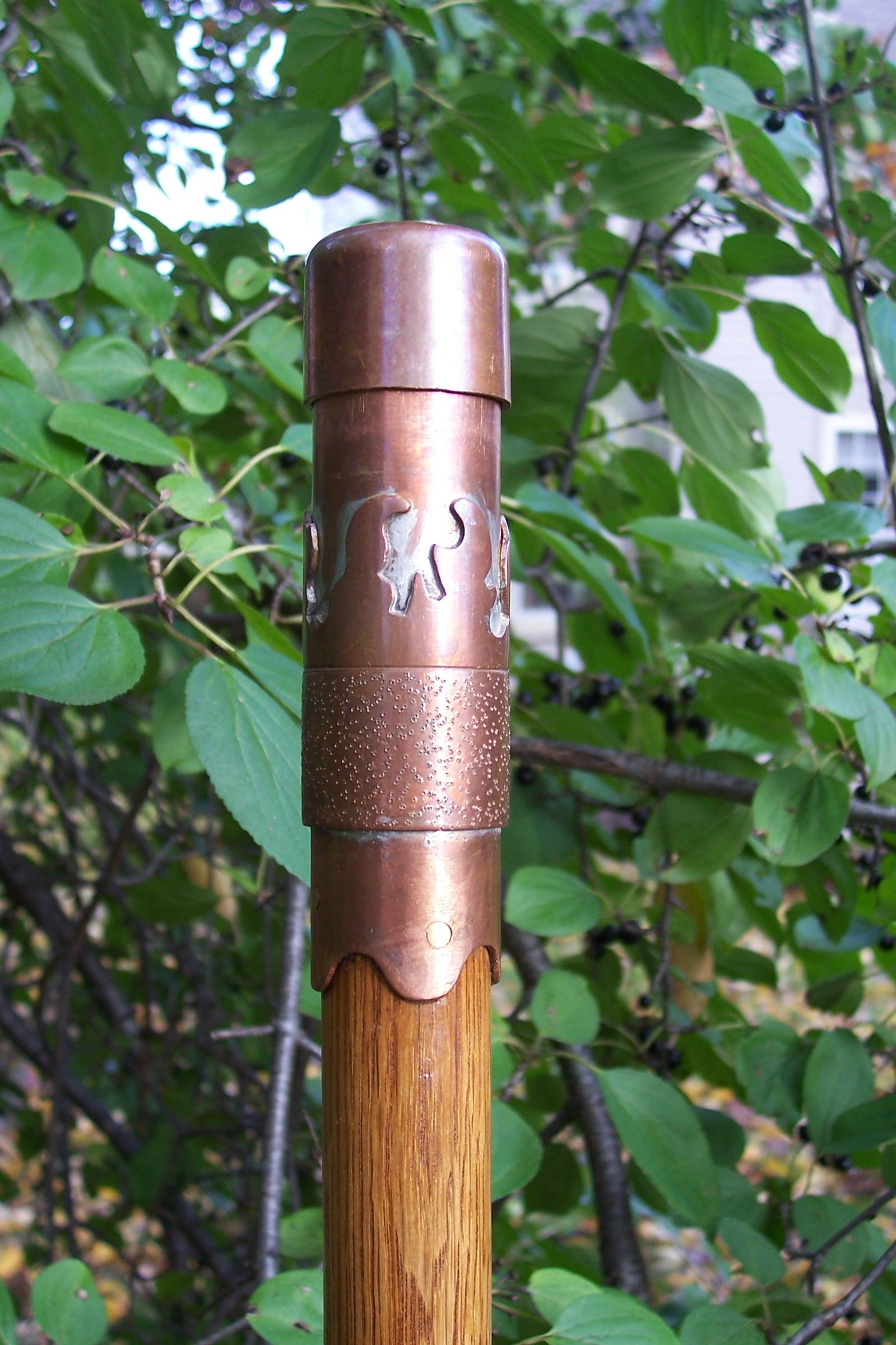 Multi-Function Walking Stick II - Storage Compartment : 10 Steps (with ...