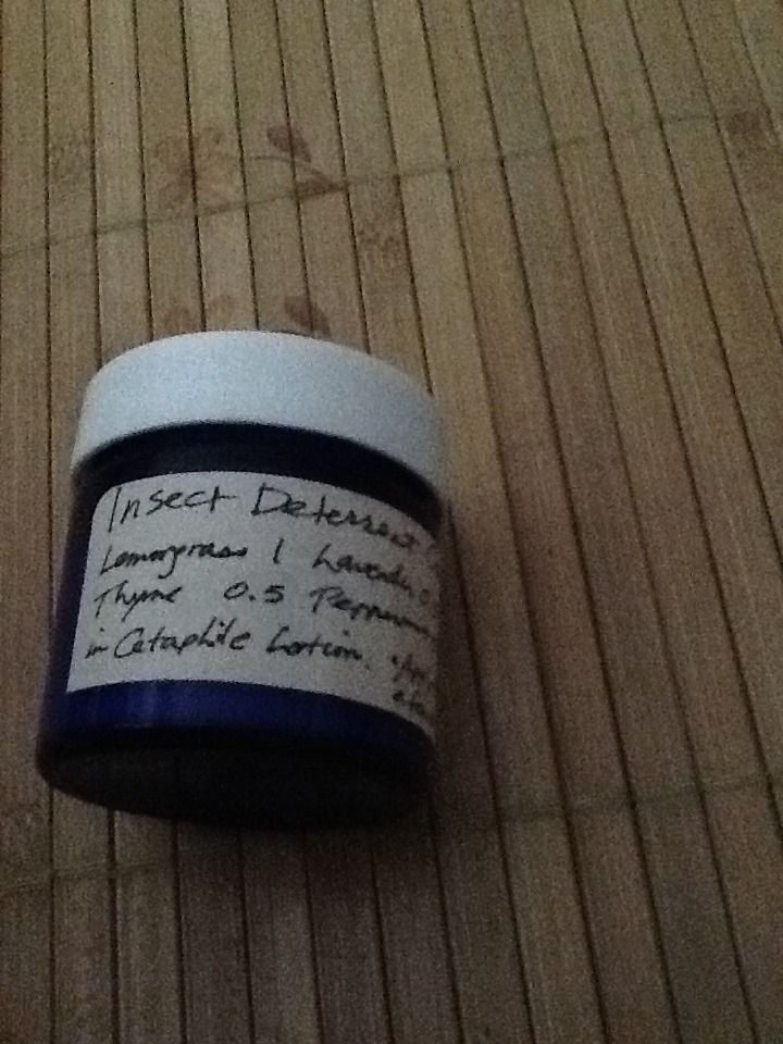 How to Make Organic Insect Repellent : 4 Steps - Instructables