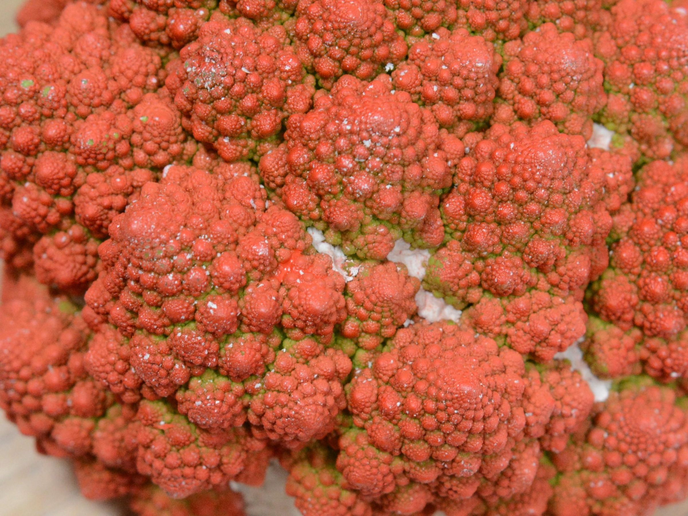 Turn Romanesco Broccoli Into a Candle : 17 Steps (with Pictures ...