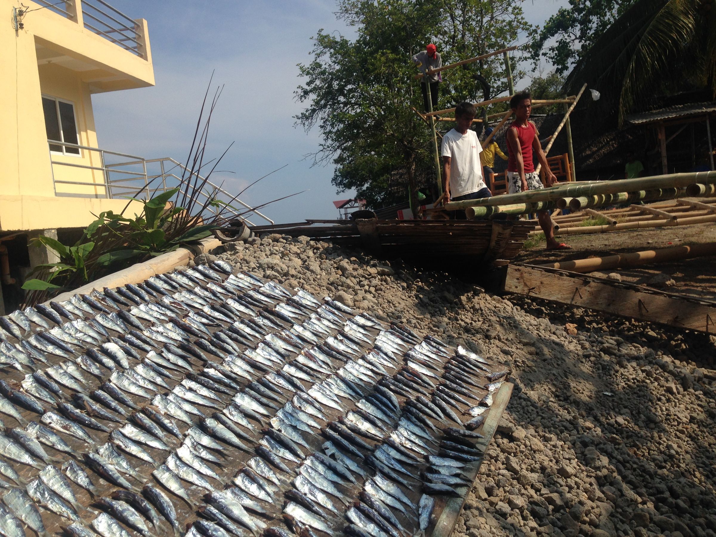 Bamboo BOAT Lab : 27 Steps (with Pictures) - Instructables