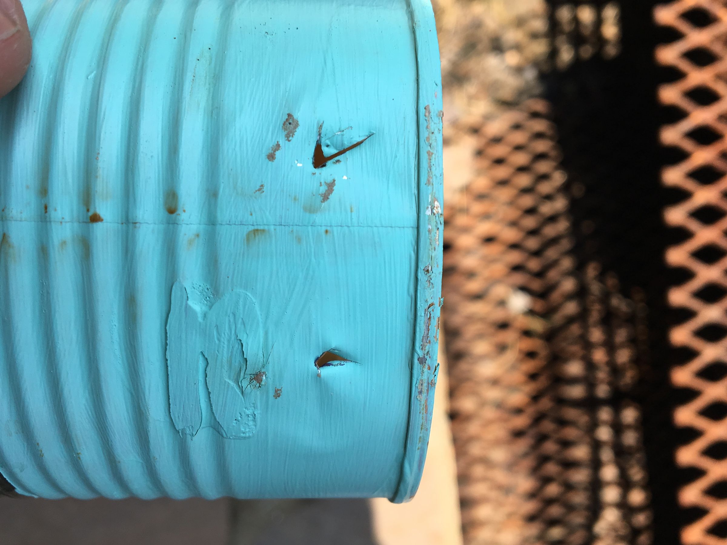 Tin Can Garden : 4 Steps (with Pictures) - Instructables