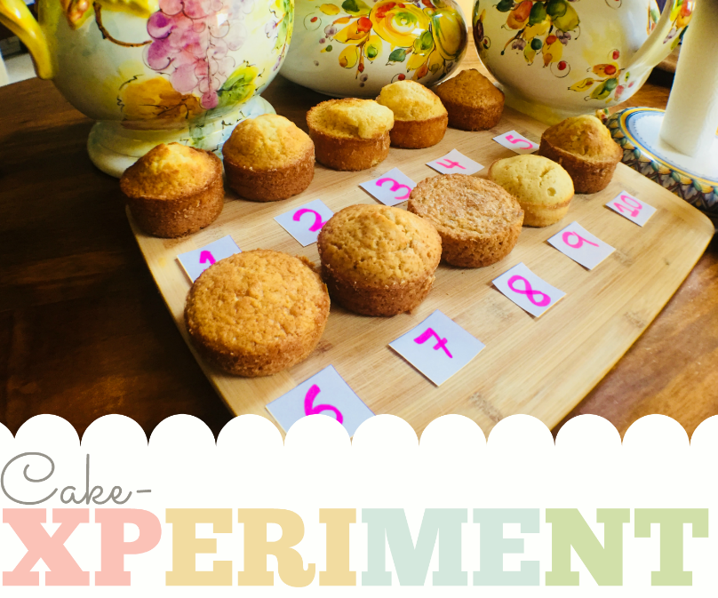 CakExperiment : 10 Steps (with Pictures) - Instructables
