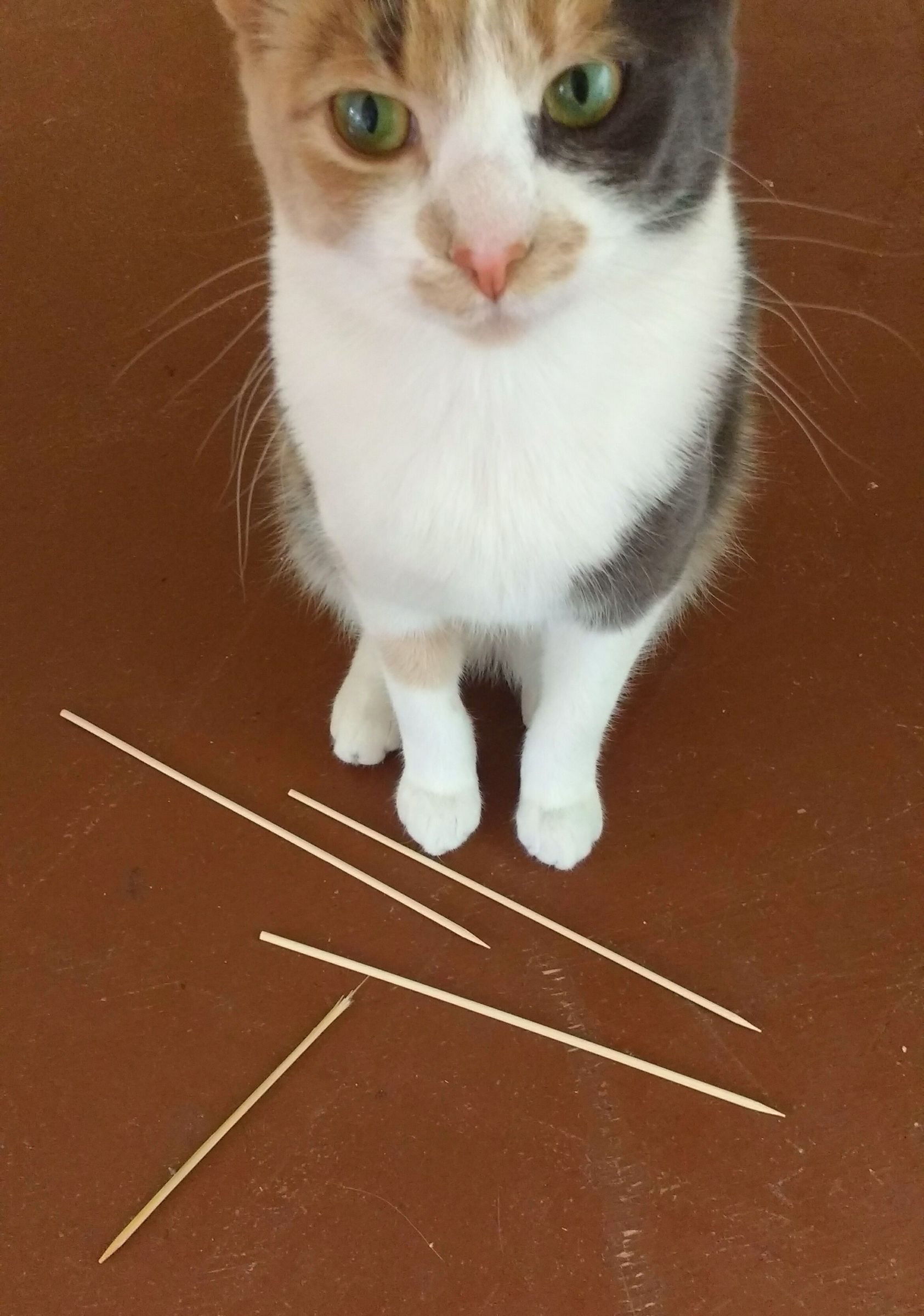 101+ Life Hacks Using Chopsticks : 9 Steps (with Pictures) - Instructables