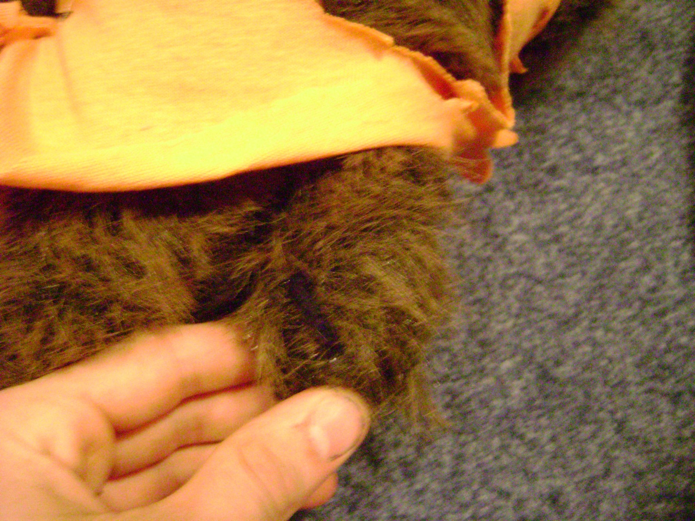 How to Make a Stuffed Animal : 6 Steps - Instructables