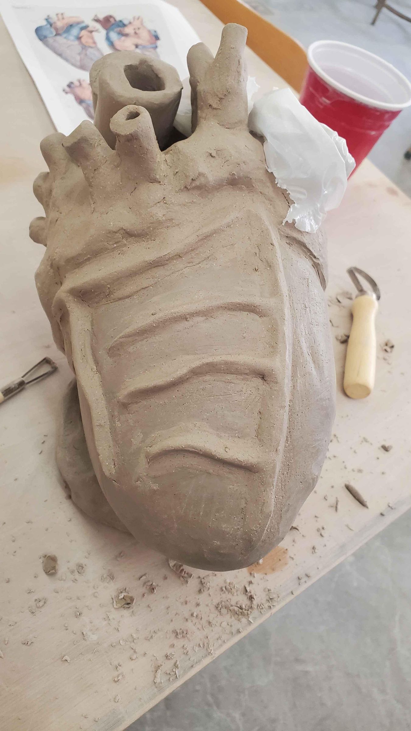 Anatomically Correct Heart - Clay : 11 Steps (with Pictures ...