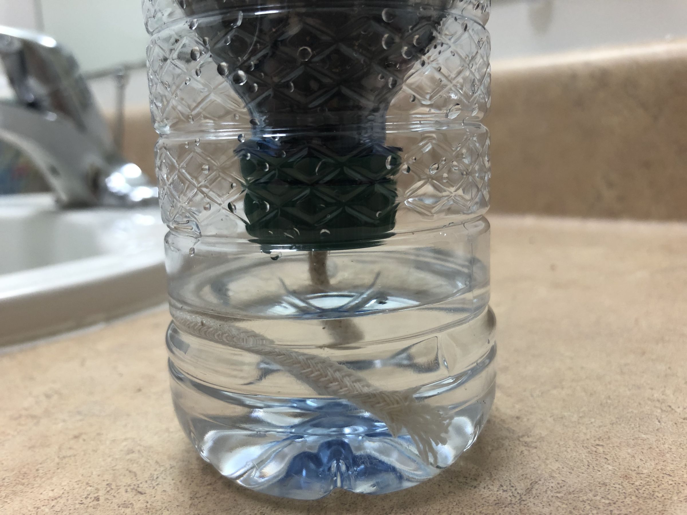 Recycled Self-Watering Water Bottle Pot : 6 Steps - Instructables