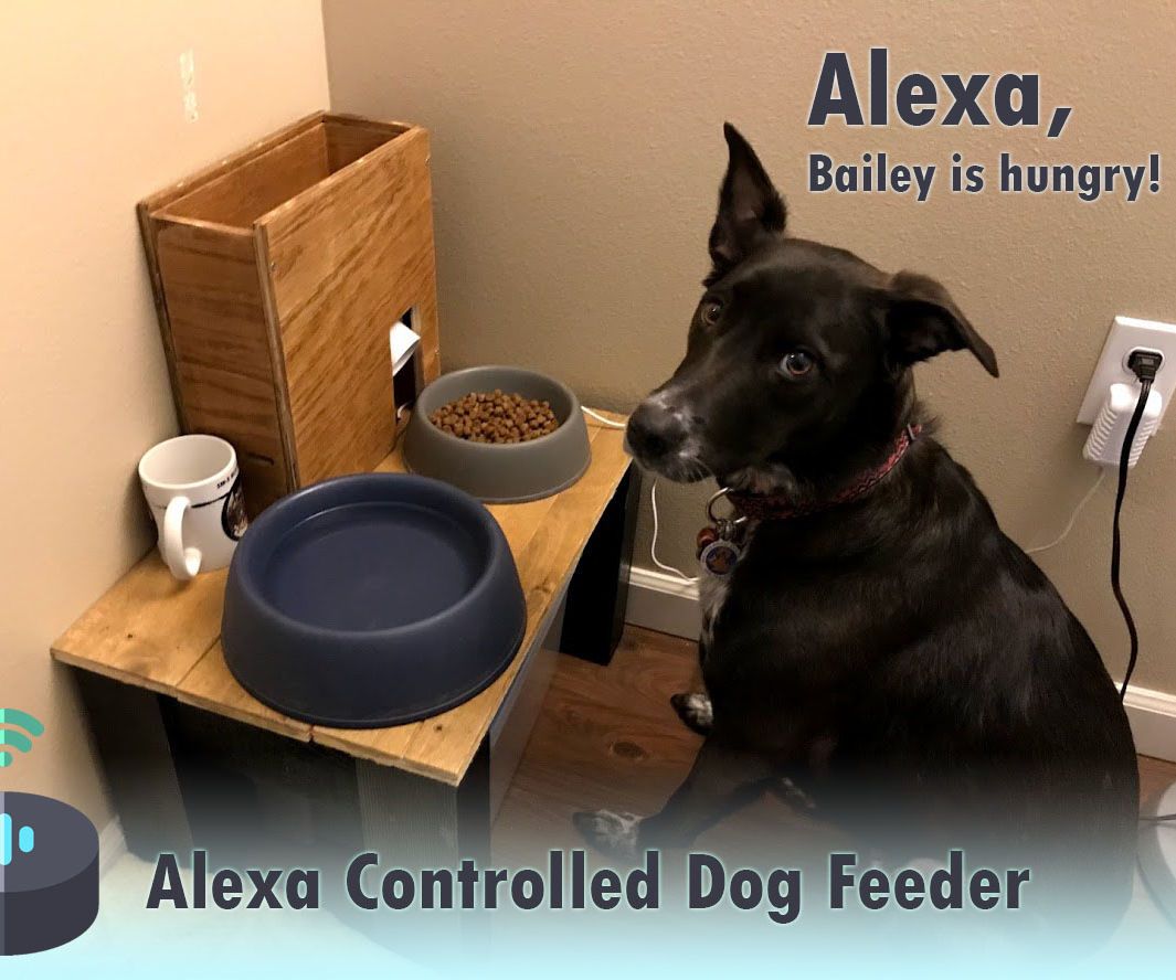 Alexa Controlled Dog Feeder : 6 Steps (with Pictures) - Instructables