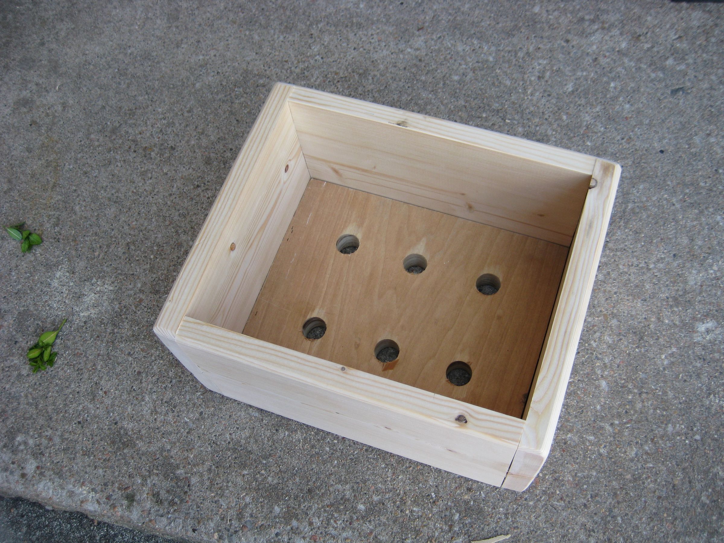 Starting a Bonsai : 9 Steps (with Pictures) - Instructables