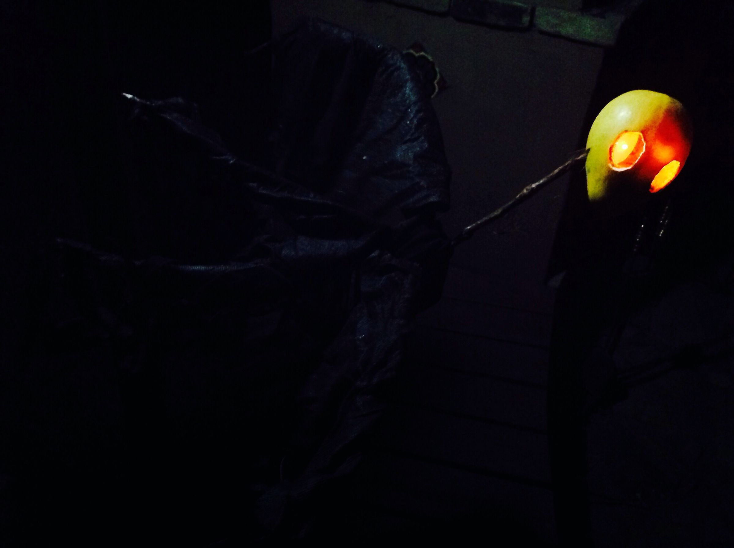 Pumpkin Pterodactyl Ghost Bird : 3 Steps - Instructables