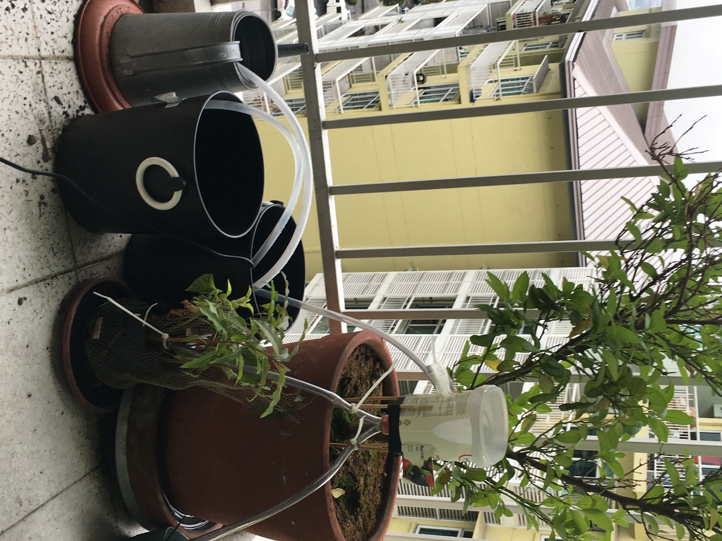 Raspberry Pi Irrigation Controller : 9 Steps (with Pictures) - Instructables