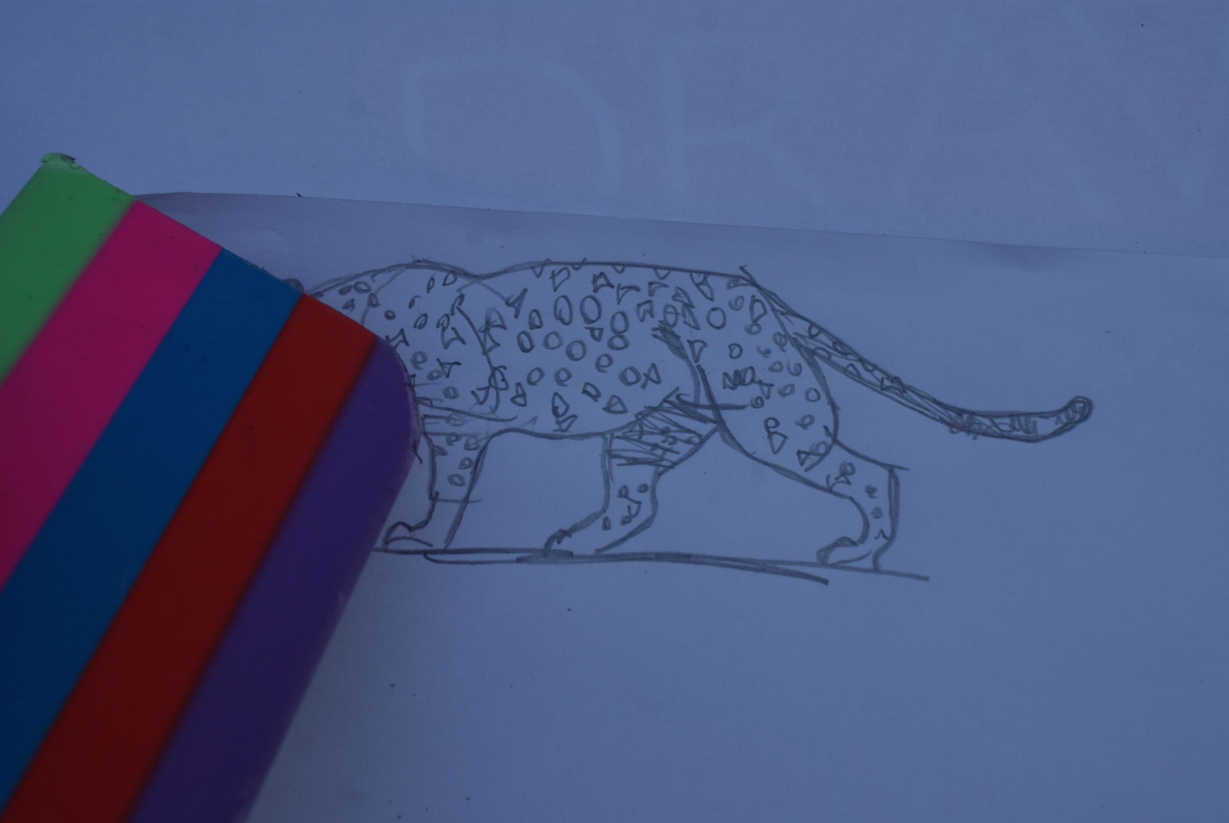Drawing a Leopard : 10 Steps - Instructables