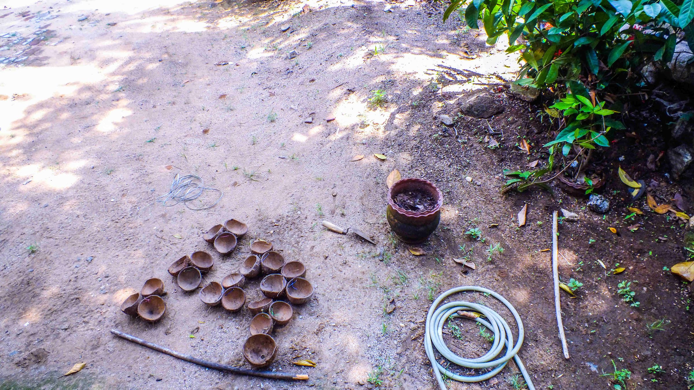 Coconut Shell Stackable Pot : 5 Steps (with Pictures) - Instructables
