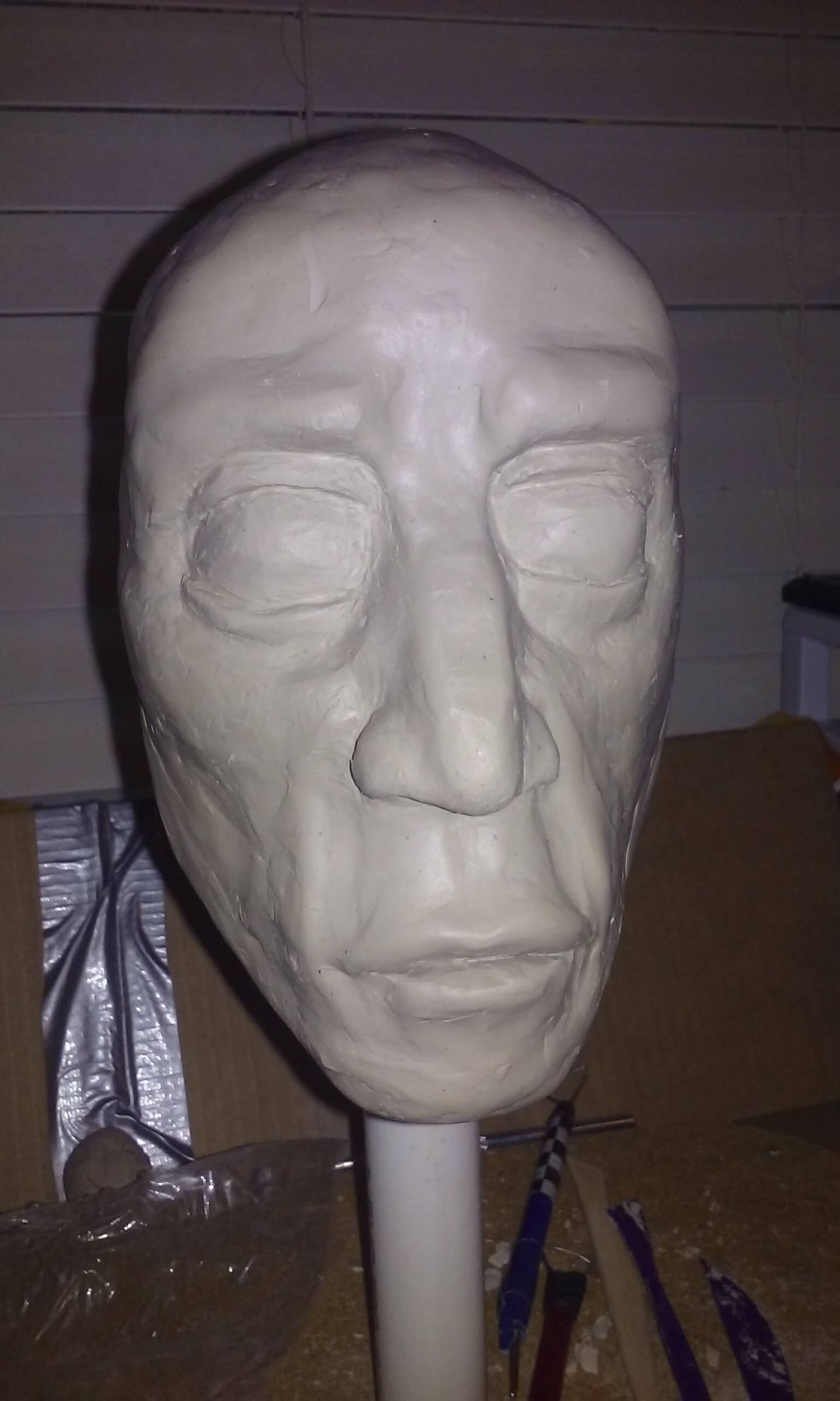 Spock Bust Sculpture - Build Log : 9 Steps (with Pictures) - Instructables