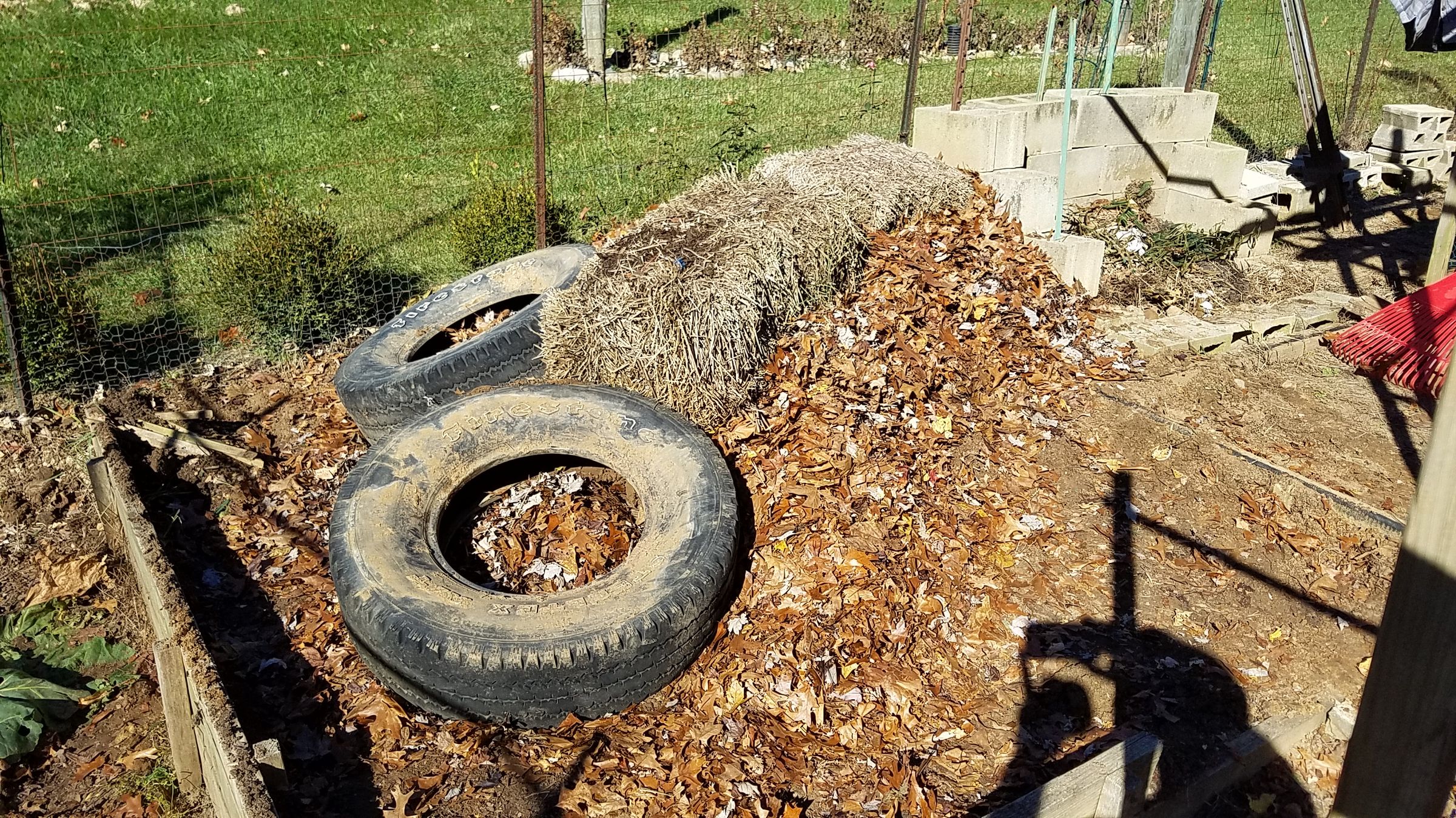Bury a Fig Tree : 11 Steps (with Pictures) - Instructables