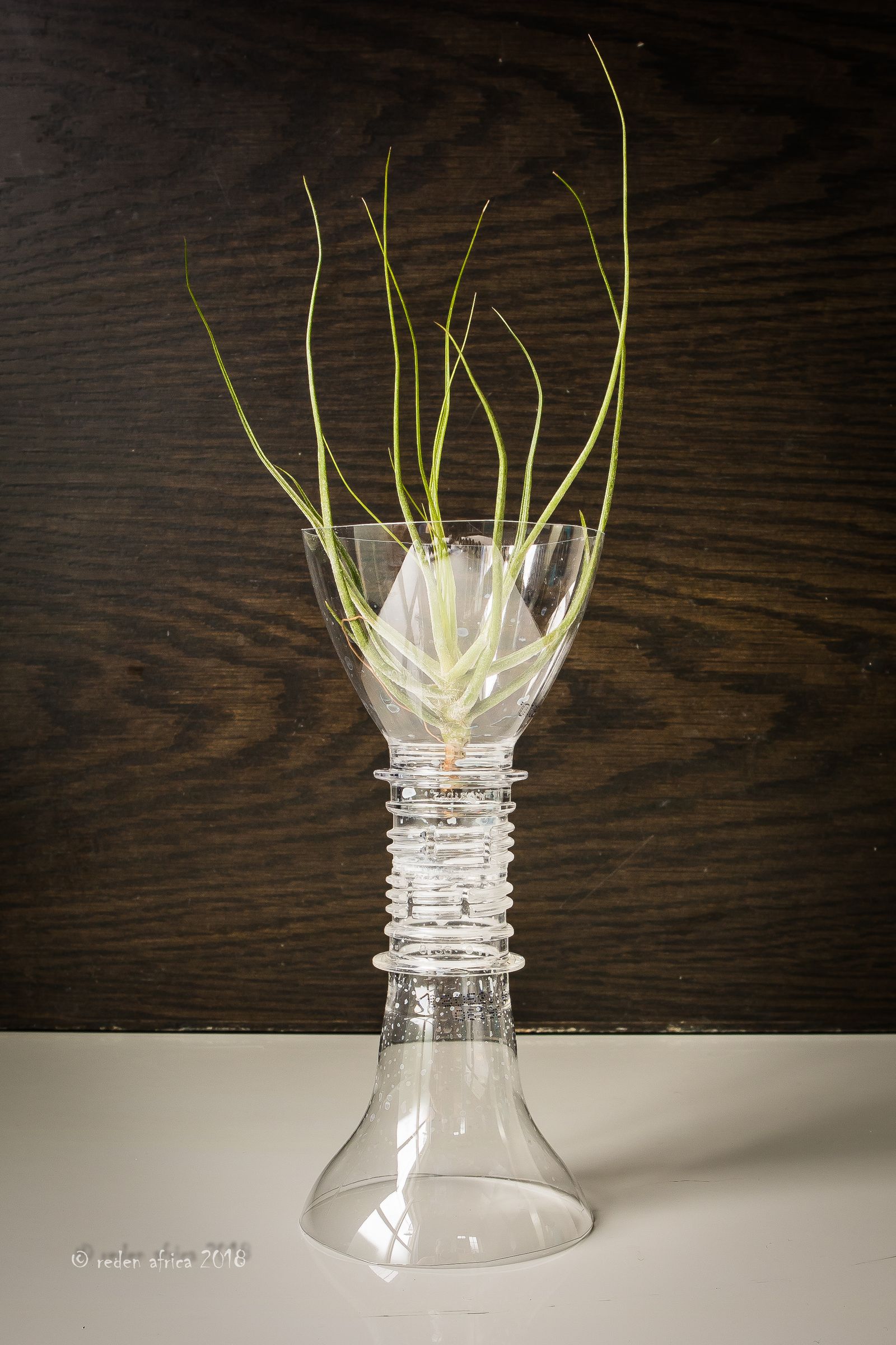 PET Bottle Planters : 5 Steps - Instructables