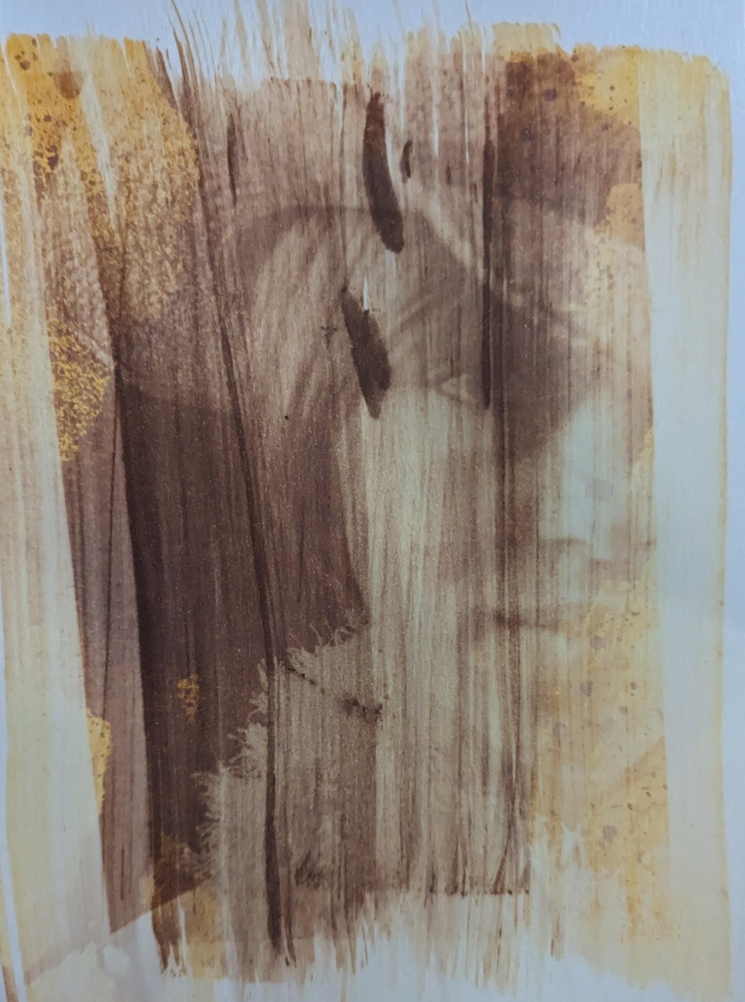 DIY Anthotype Prints: Photography : 5 Steps (with Pictures) - Instructables