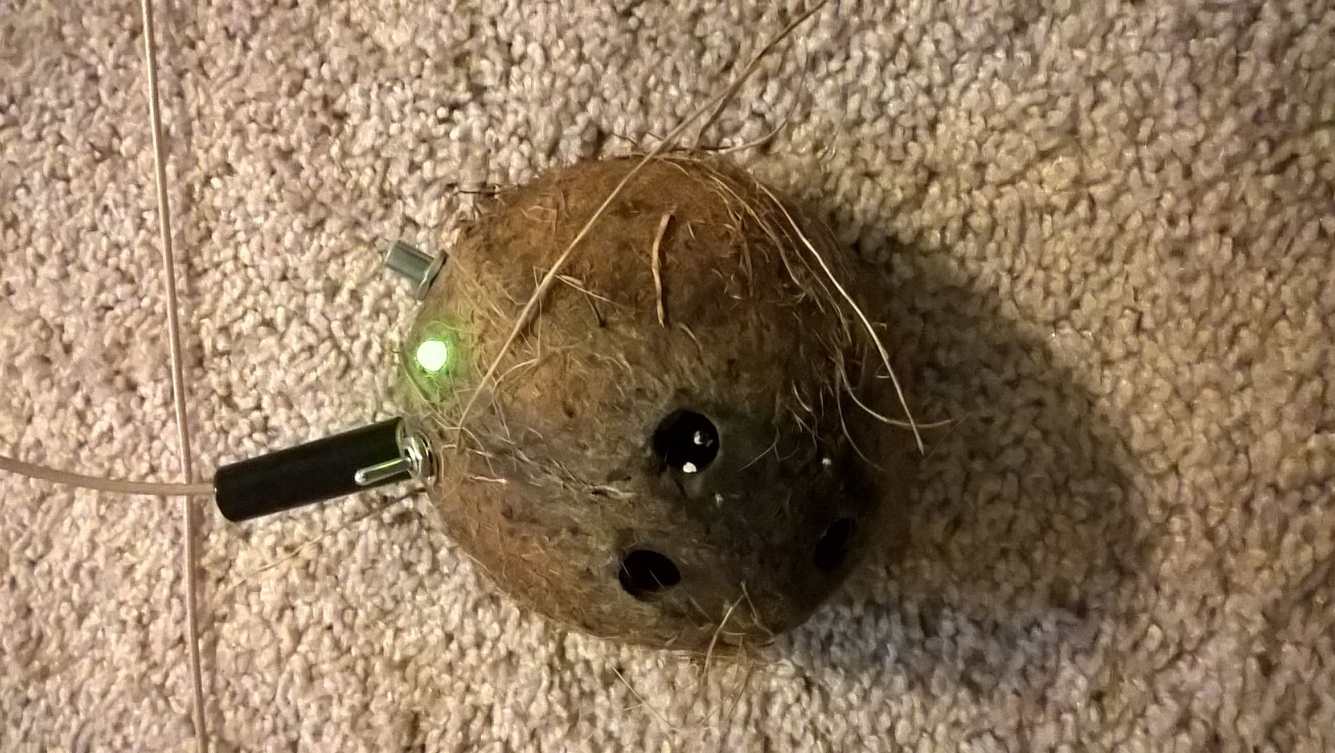 Coconut Amplifier : 6 Steps (with Pictures) - Instructables