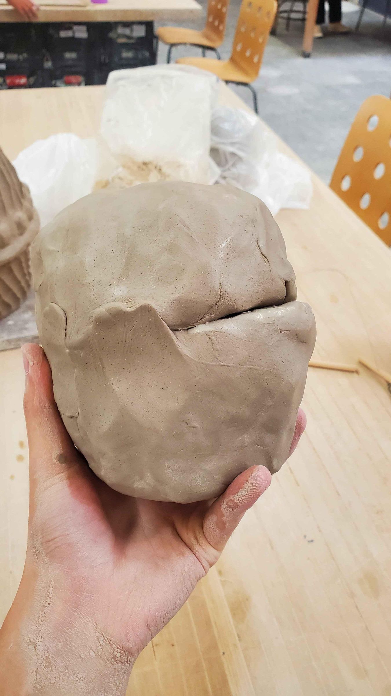 Anatomically Correct Heart - Clay : 11 Steps (with Pictures ...